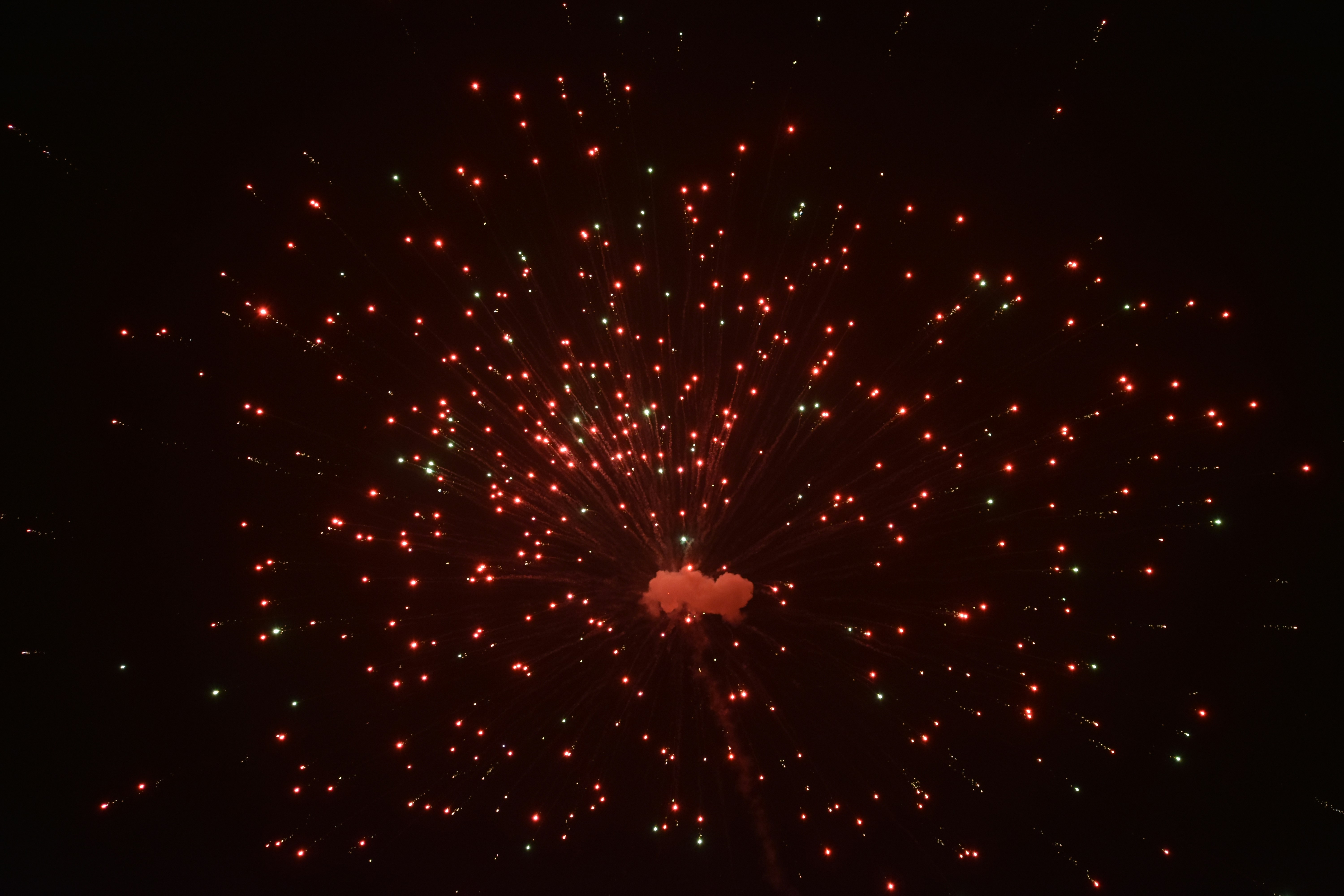 Burst of Red: Firework Bloom Over Night Sky
