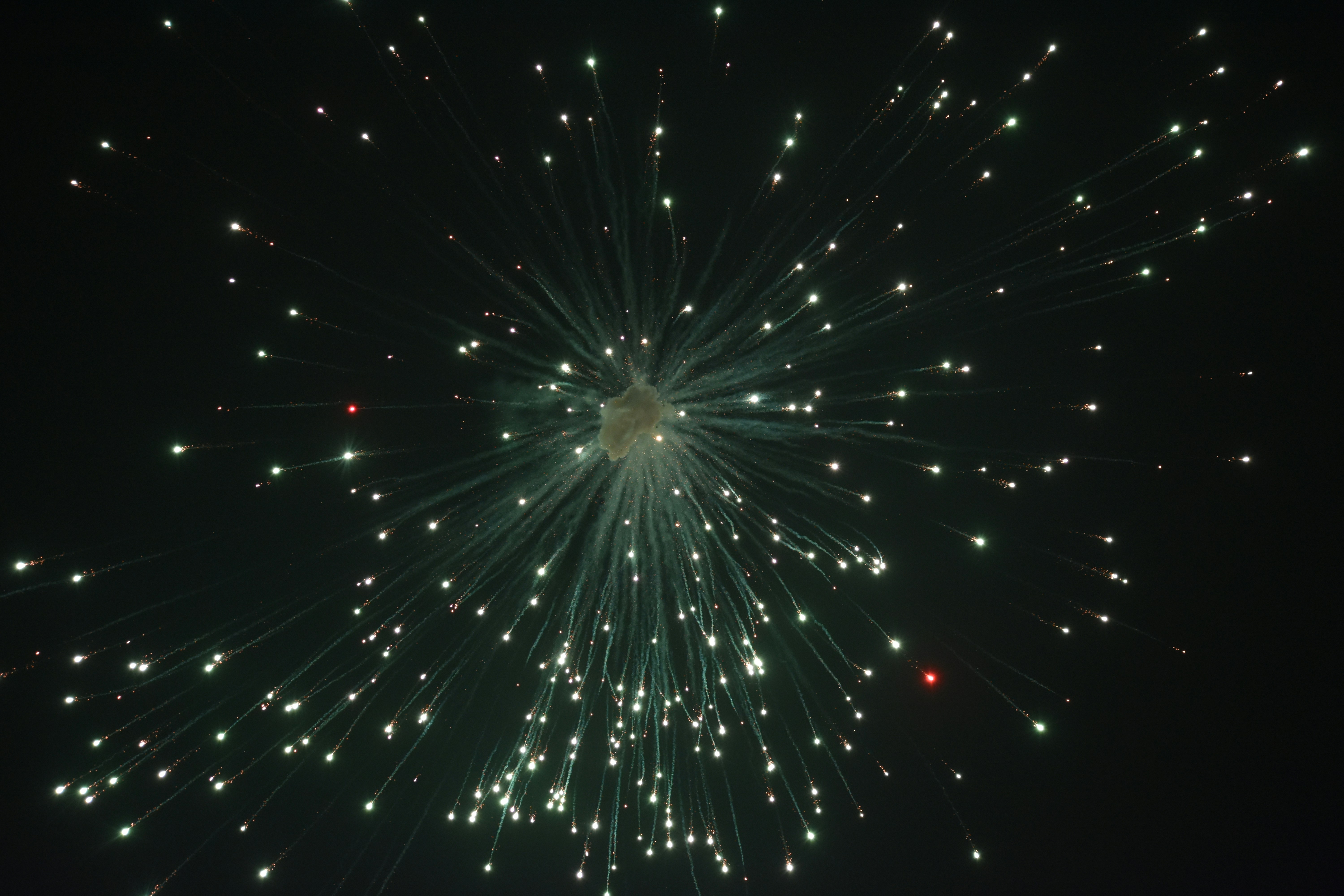 750+ Burst Pictures | Download Free Images on Unsplash