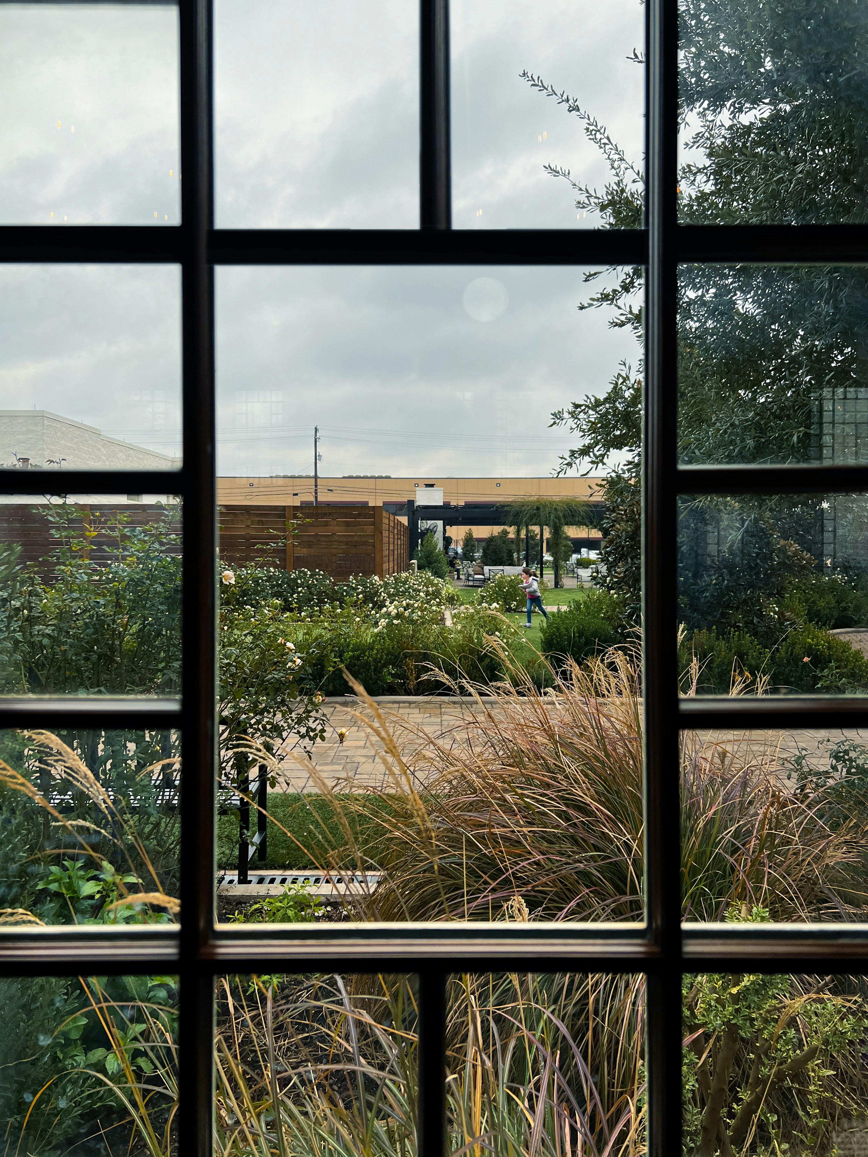 A view of a garden through a window photo – Free Person Image on Unsplash