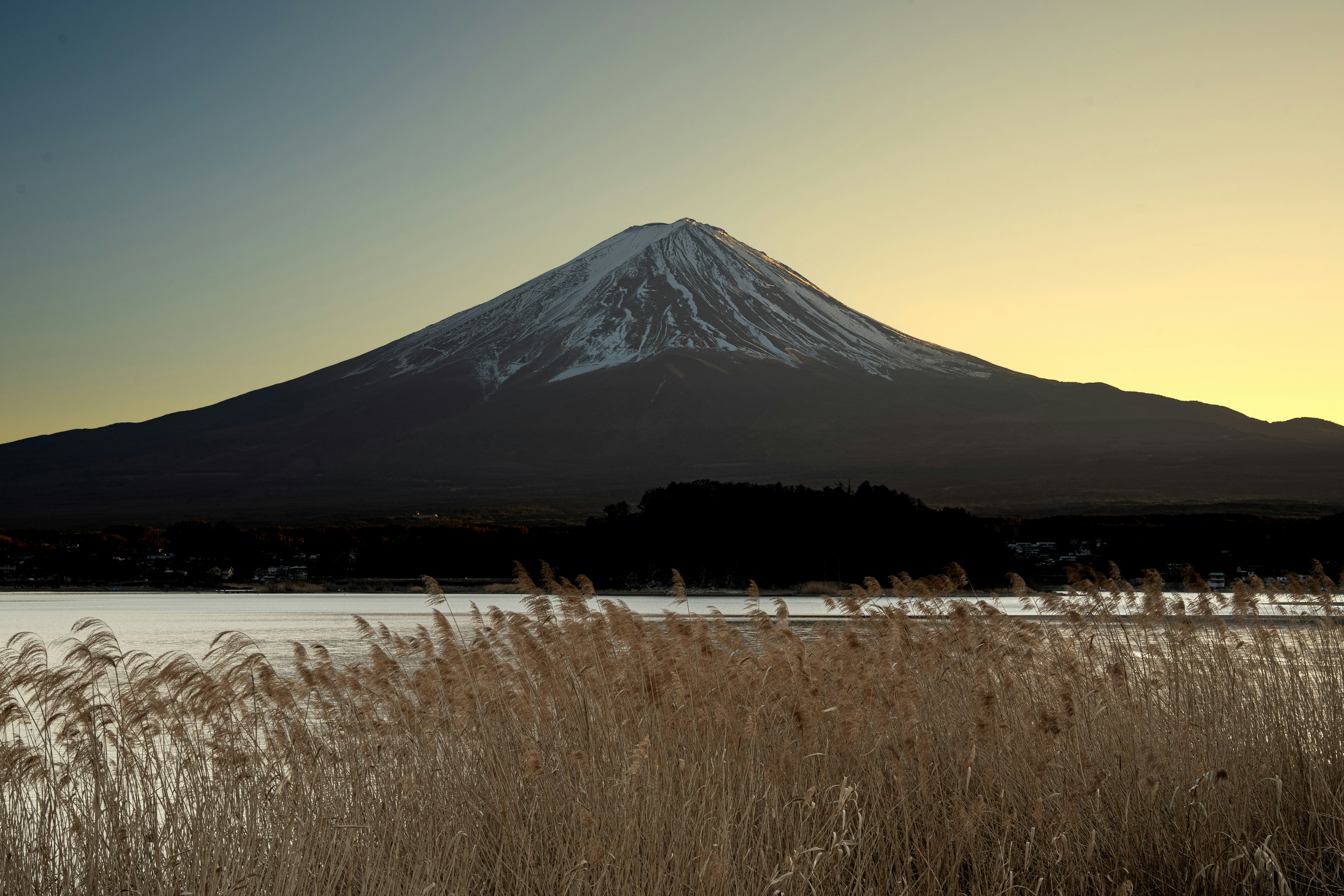 Mount Fuji