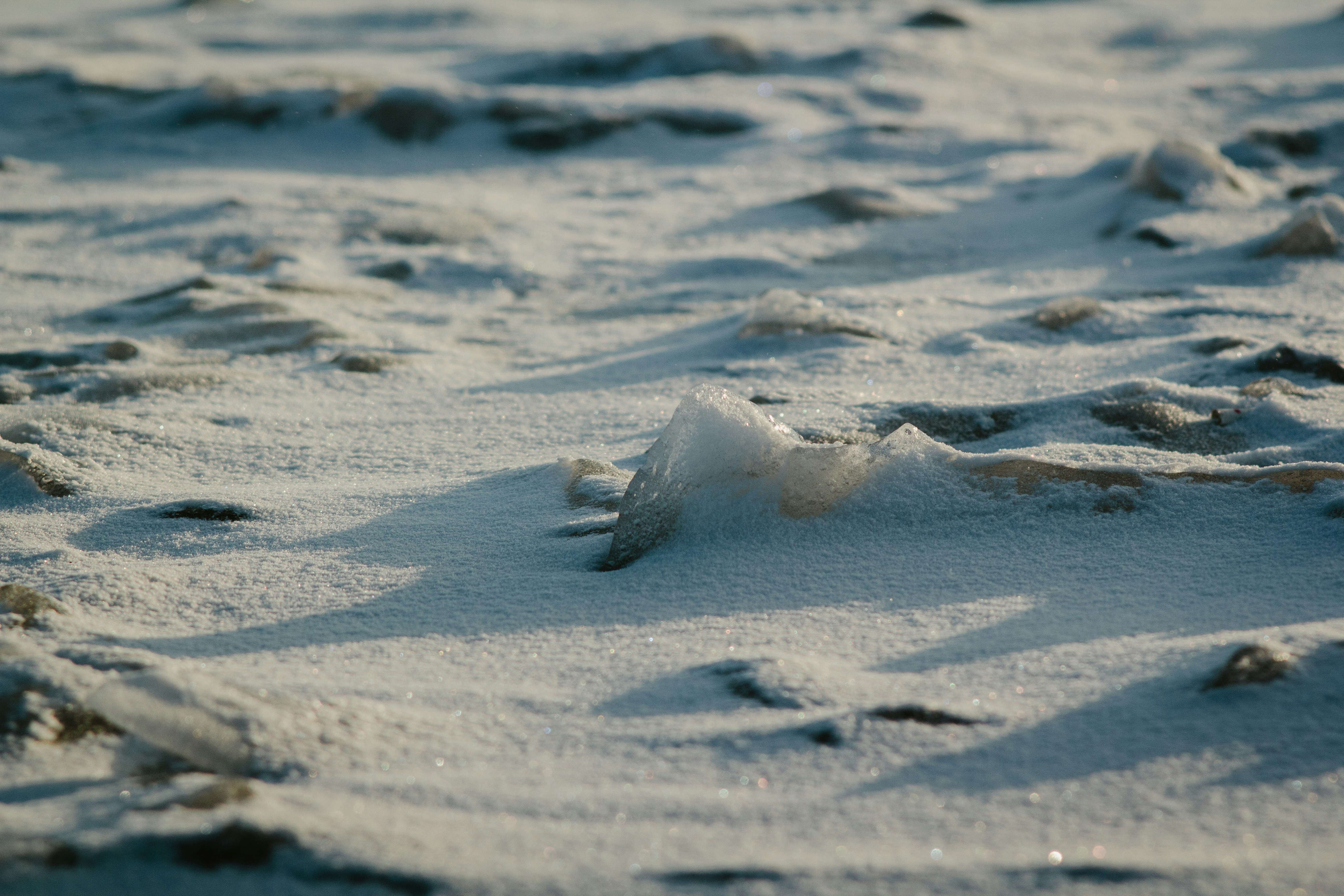 Photo by Robert Malsagov with Canon EOS 550D