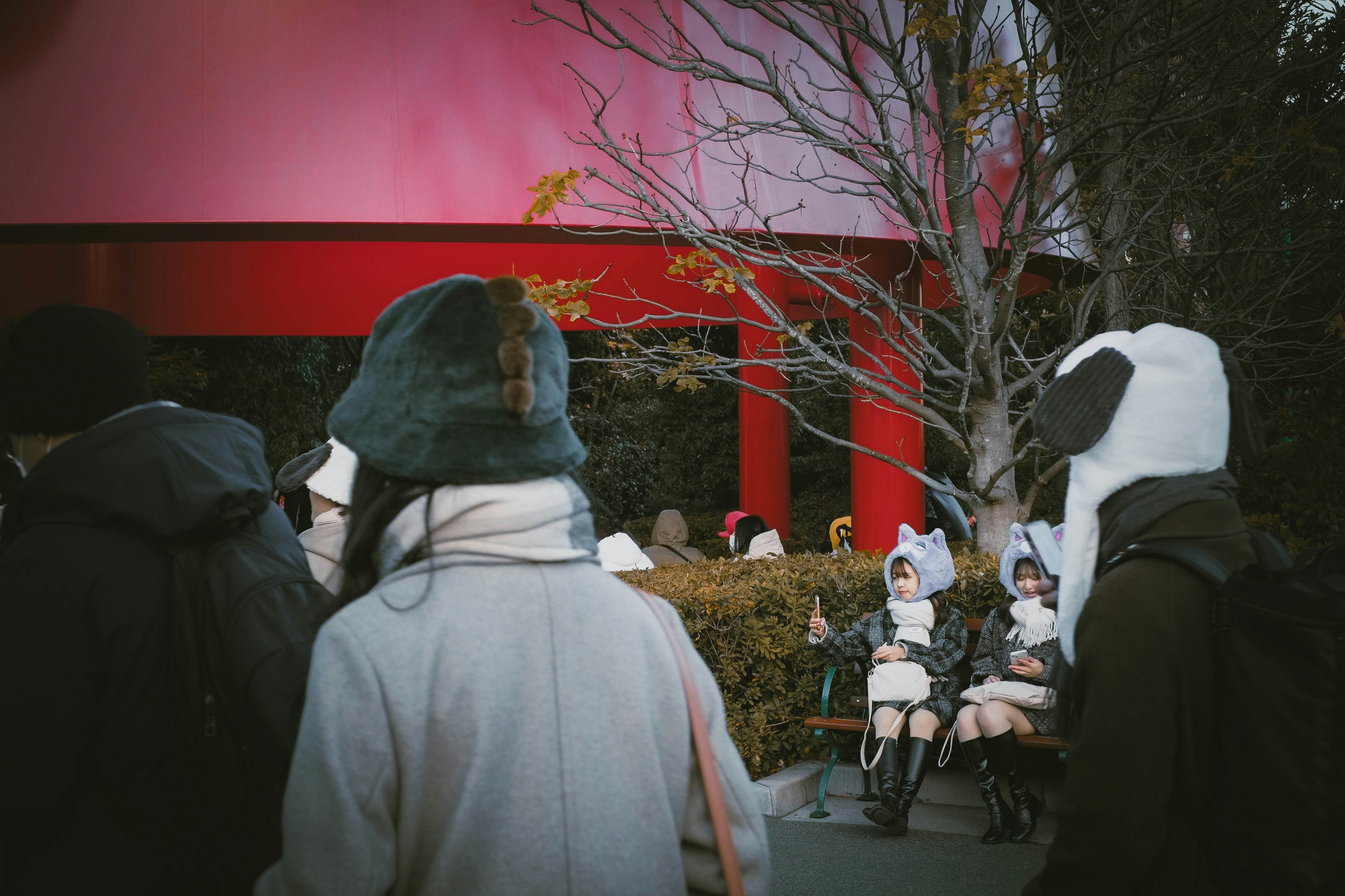 Panda Hats by the Crimson Wall: Winter Street Portrait