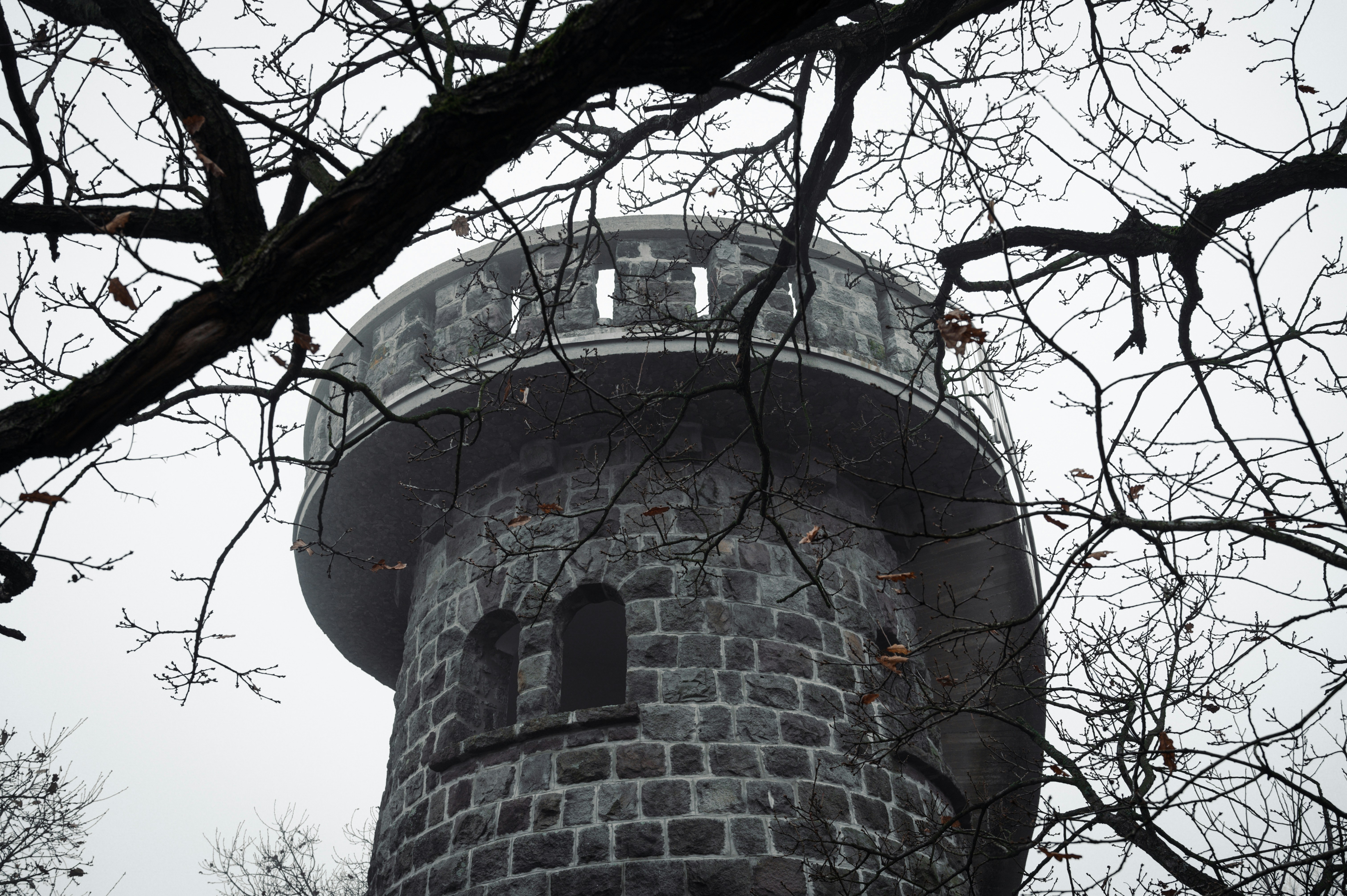 Winter Sentinel: A Circular Stone Tower Framed by Bare Branches
