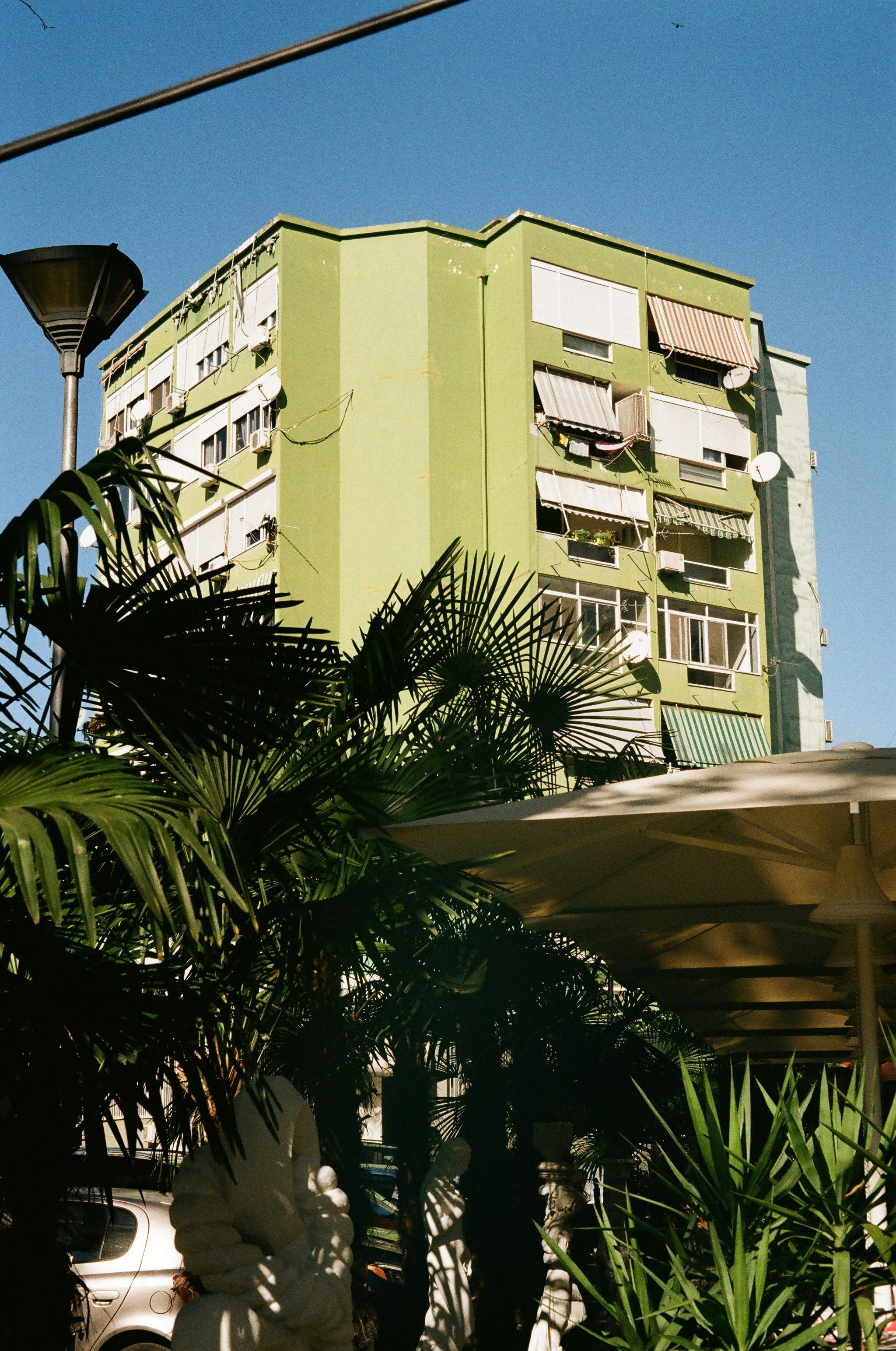 A green apartment building in Tirana Albania. There are palm trees.