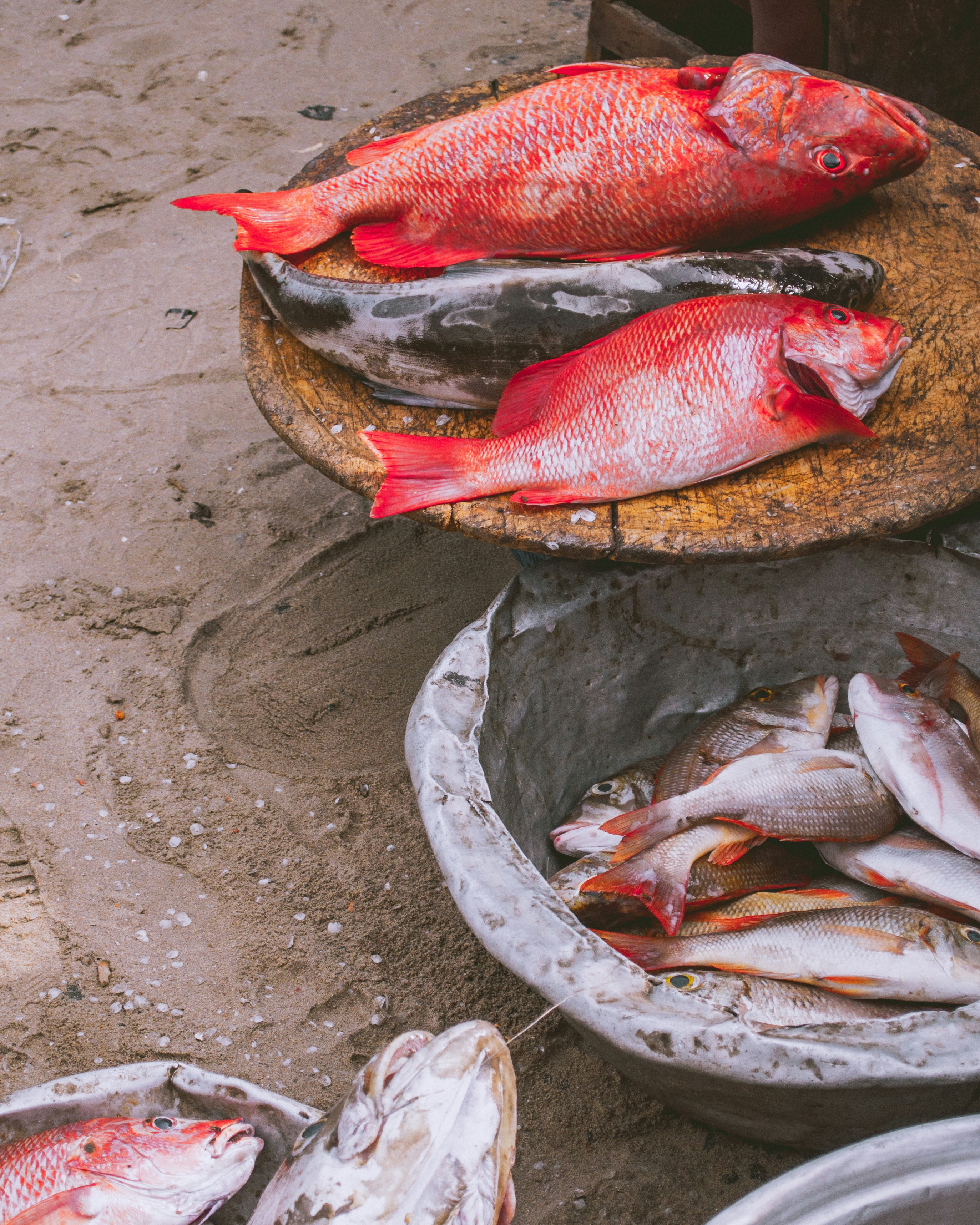 Freshly caught fish displayed on wooden boards and in bowls at a bustling market. The vivid colors highlight the day's catch.