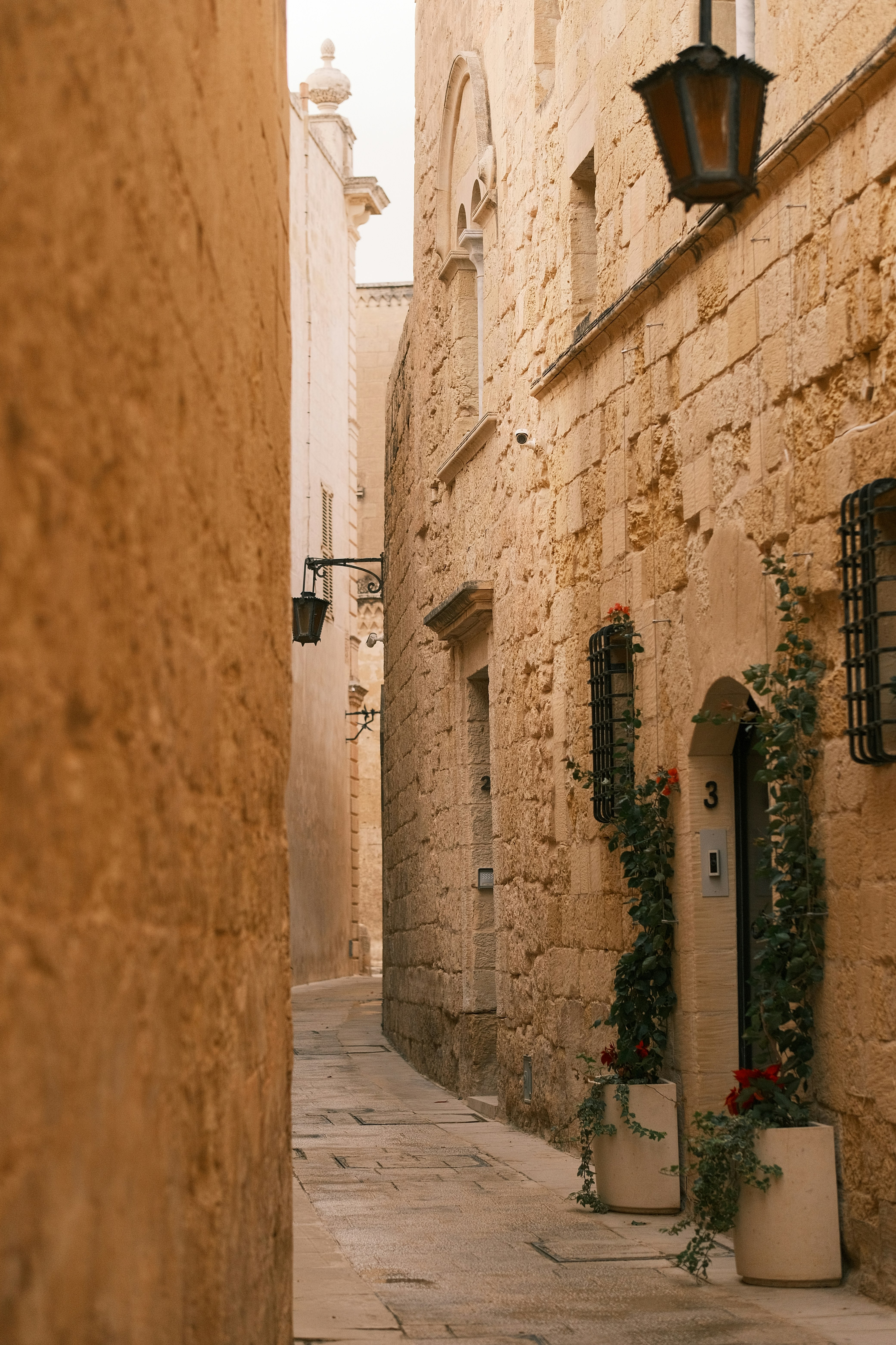 Charming narrow alleyway in a historic town, featuring stone walls and a door adorned with greenery and flowers.