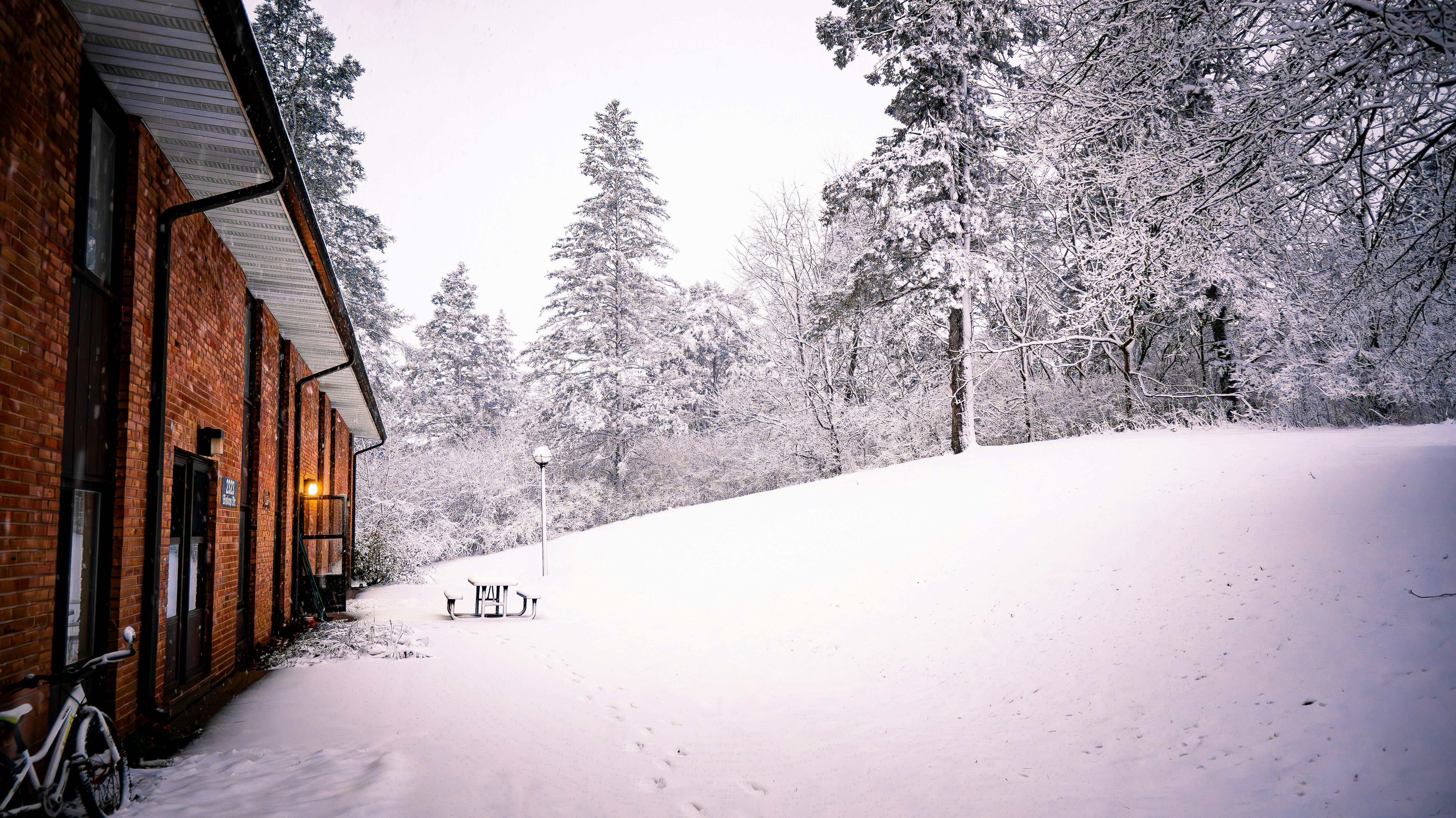 Photo by Aishwarya MV with Nikon Z30