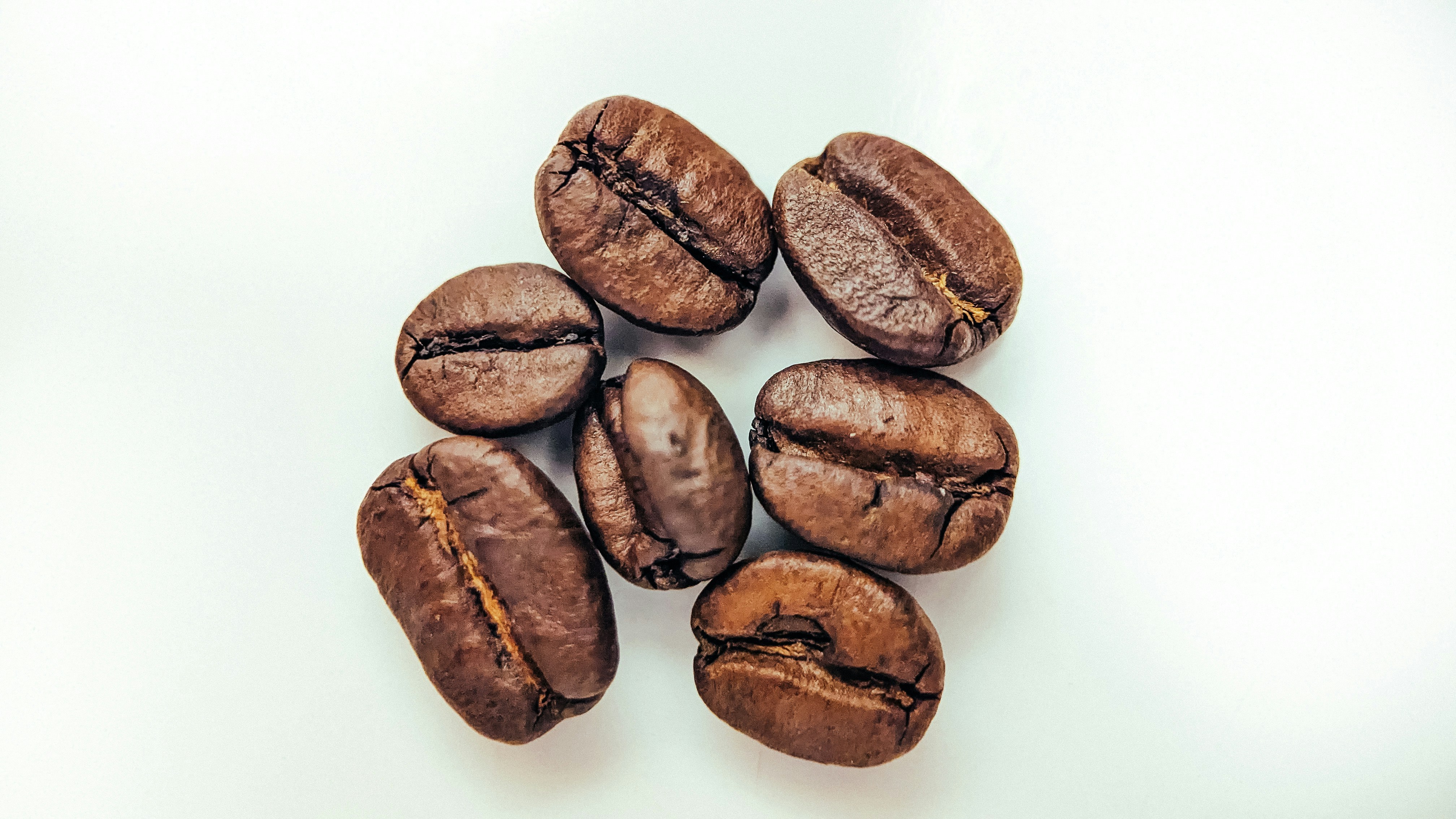 Close-up photograph of roasted coffee beans arranged on a pale mint surface, emphasizing their glossy texture and tonal variation. The composition highlights the beans' shapes and natural sheen.