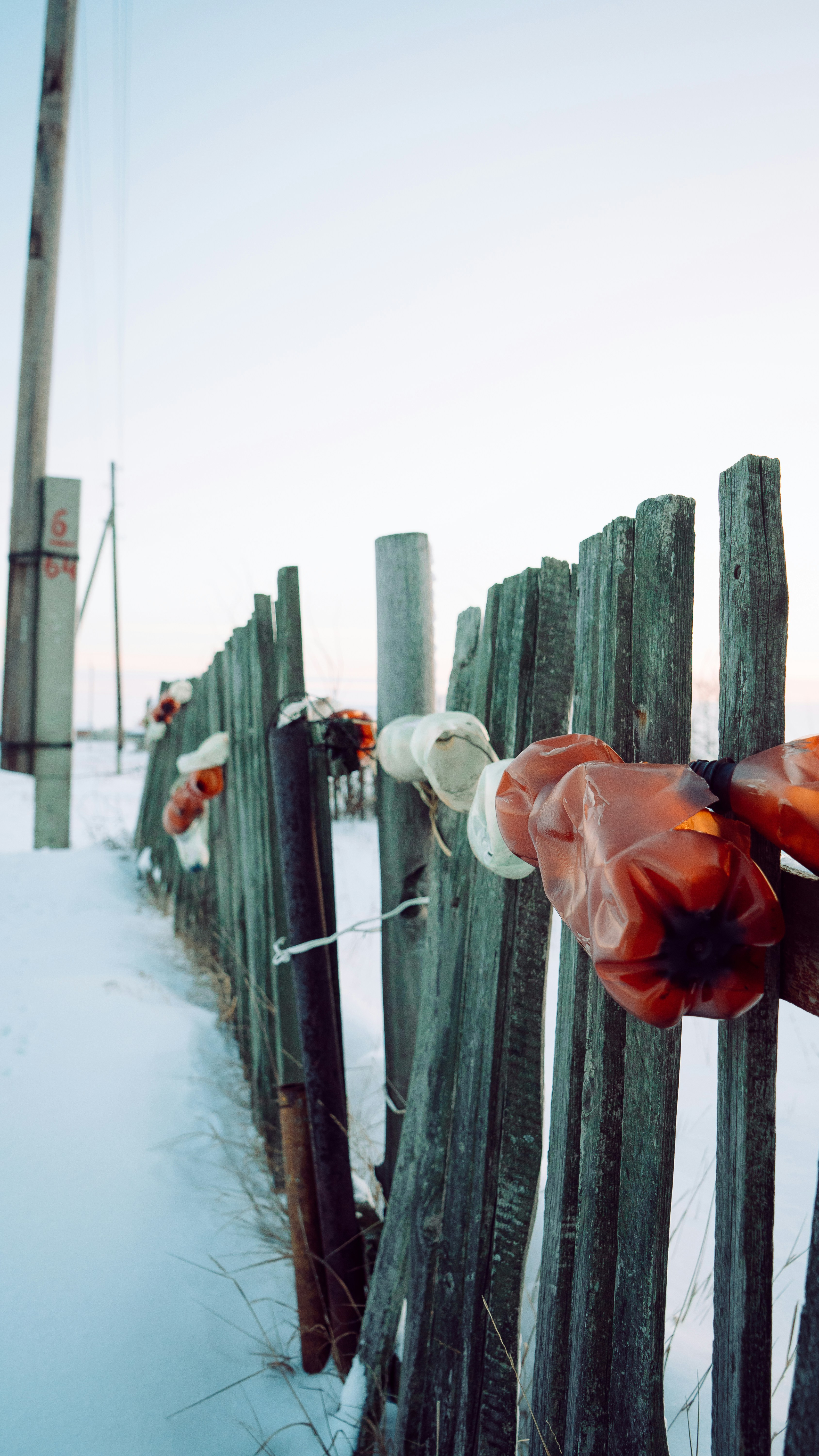 Orange Tokens on a Snowbound Fence