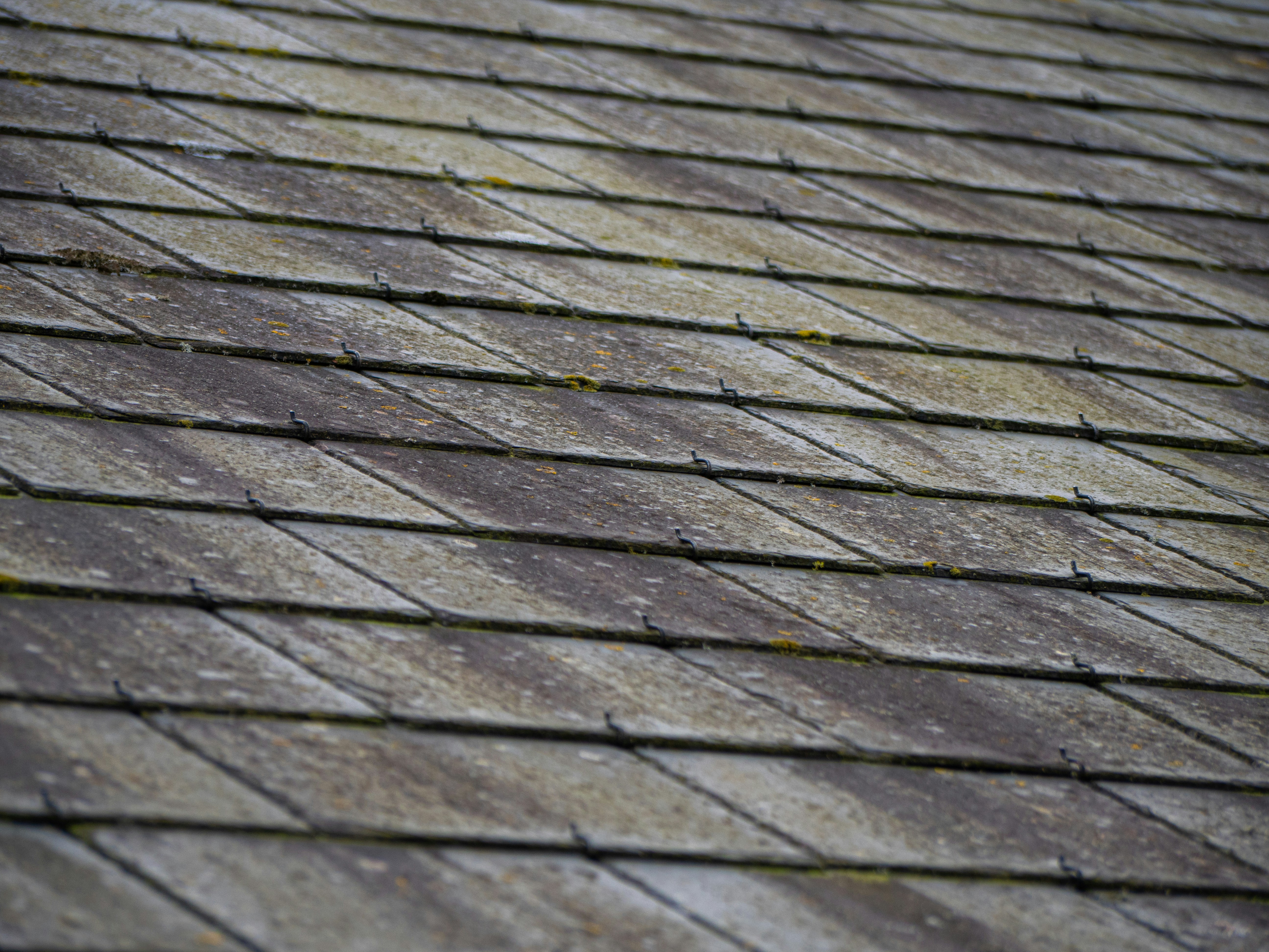 A close up of a roof made of wood planks photo – Free Grey Image on ...
