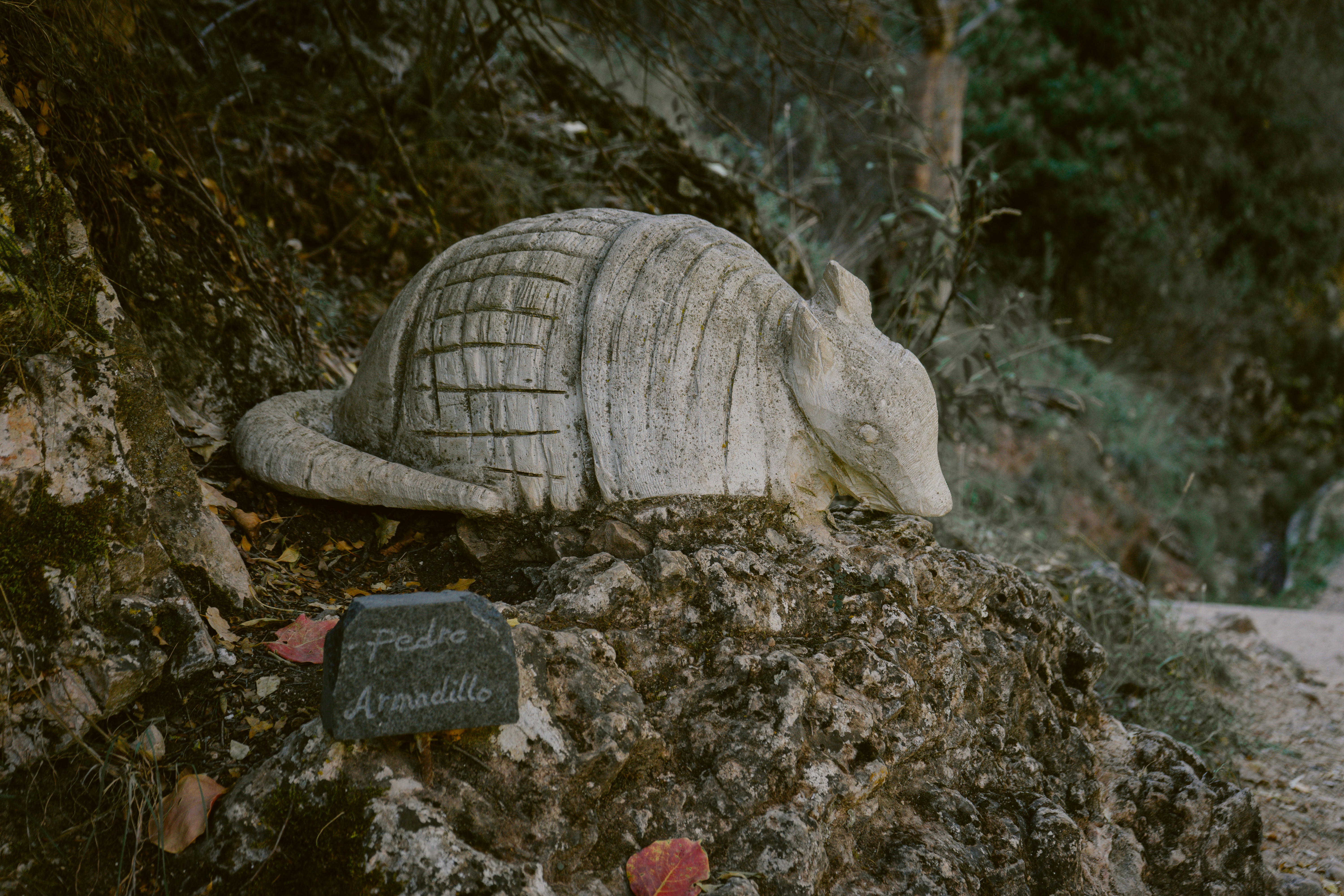 The Mossbound Sentinel: A Quiet Stone Turtle by the Trail
