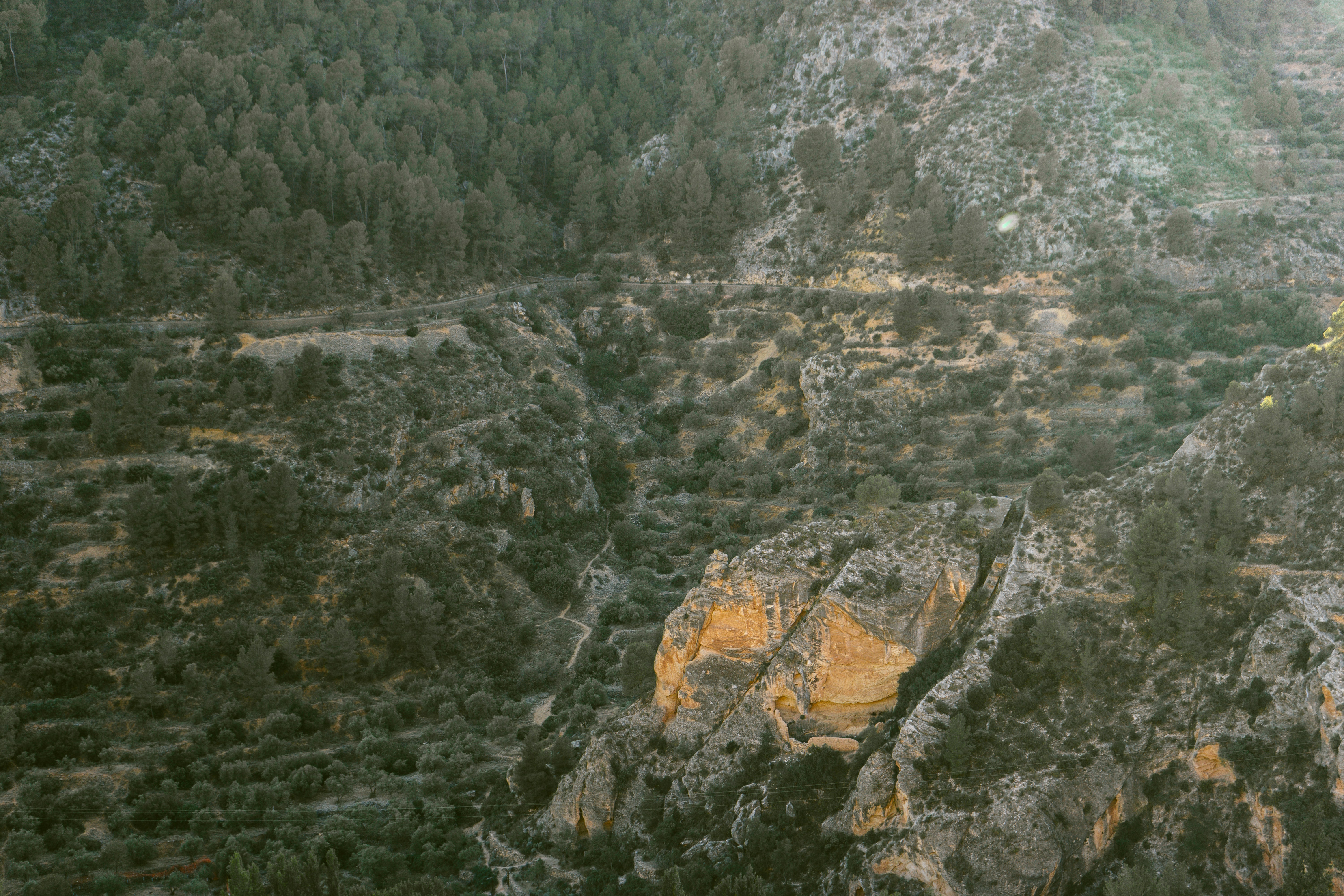 Photo by Sol Ponce with Sony Alpha 7