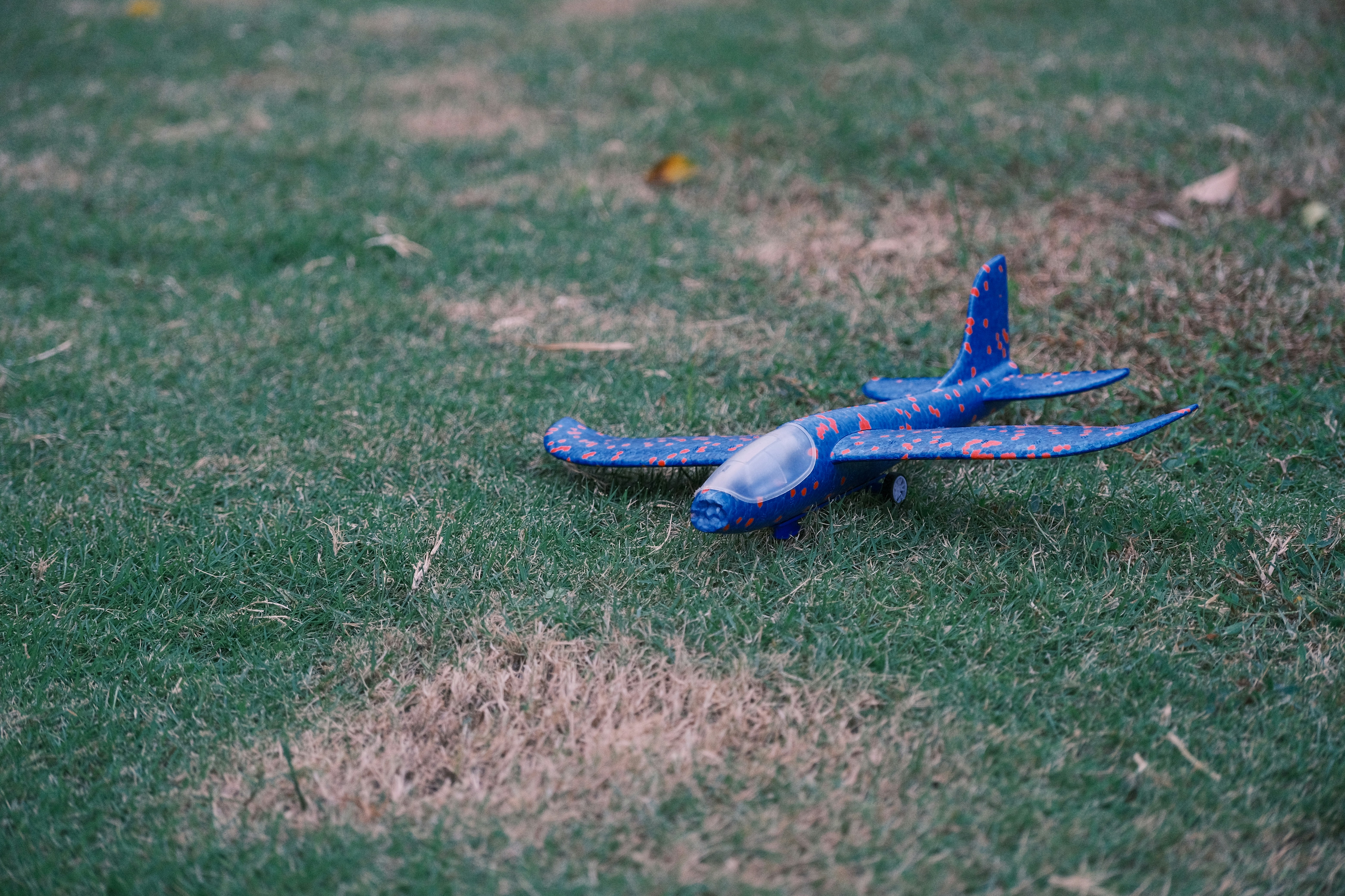 Blue speckled toy airplane stranded on a patchy lawn under soft daylight