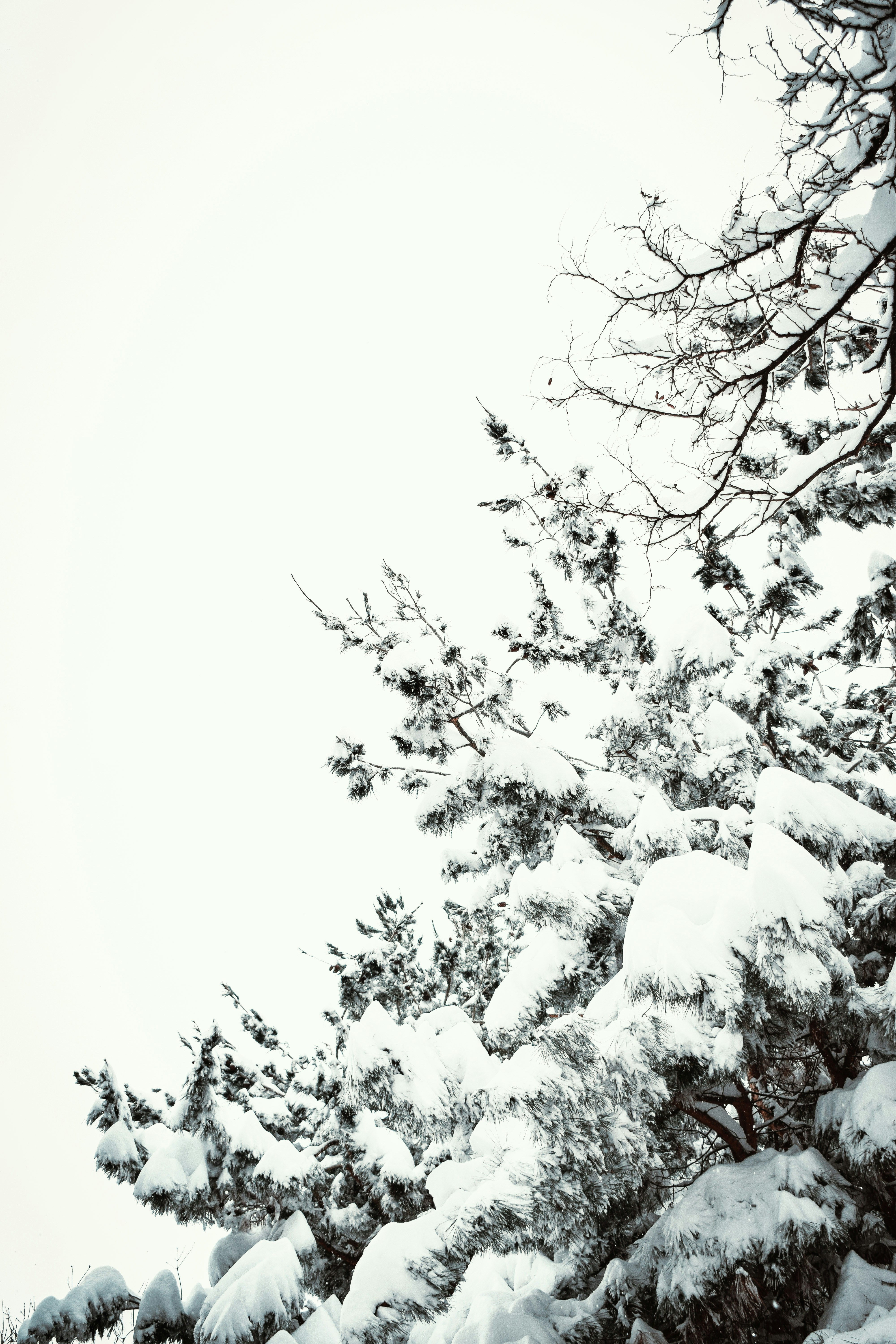 Photo by lonely blue with Nikon D5300