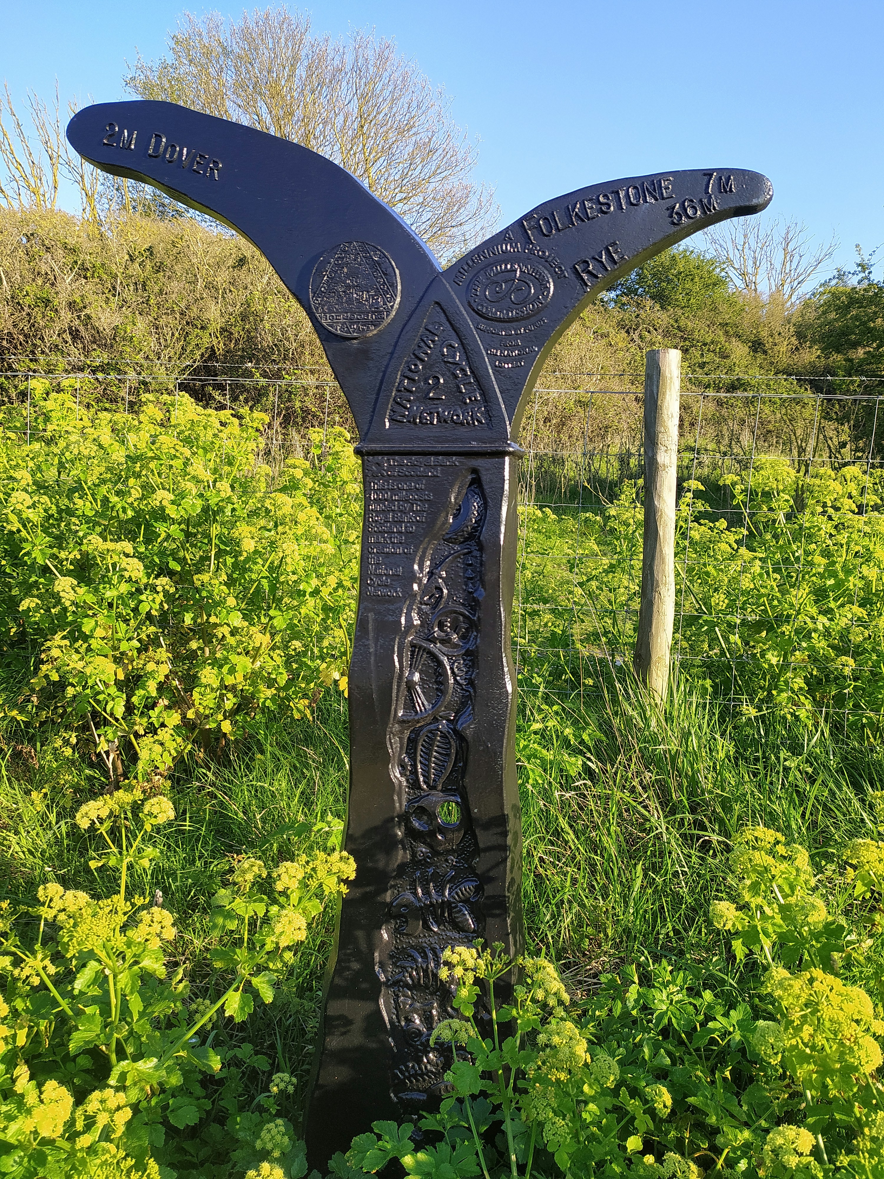 Photo by Nahad Ul Quasem with Xiaomi Redmi Note 8