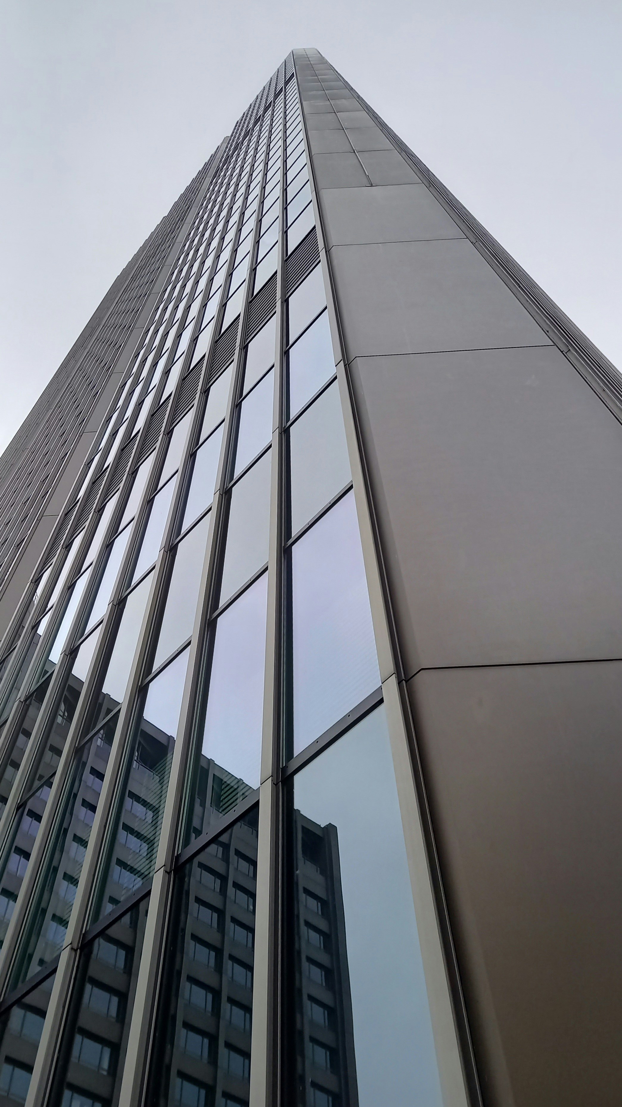 Photo by Frank Weichelt with Samsung Galaxy A41