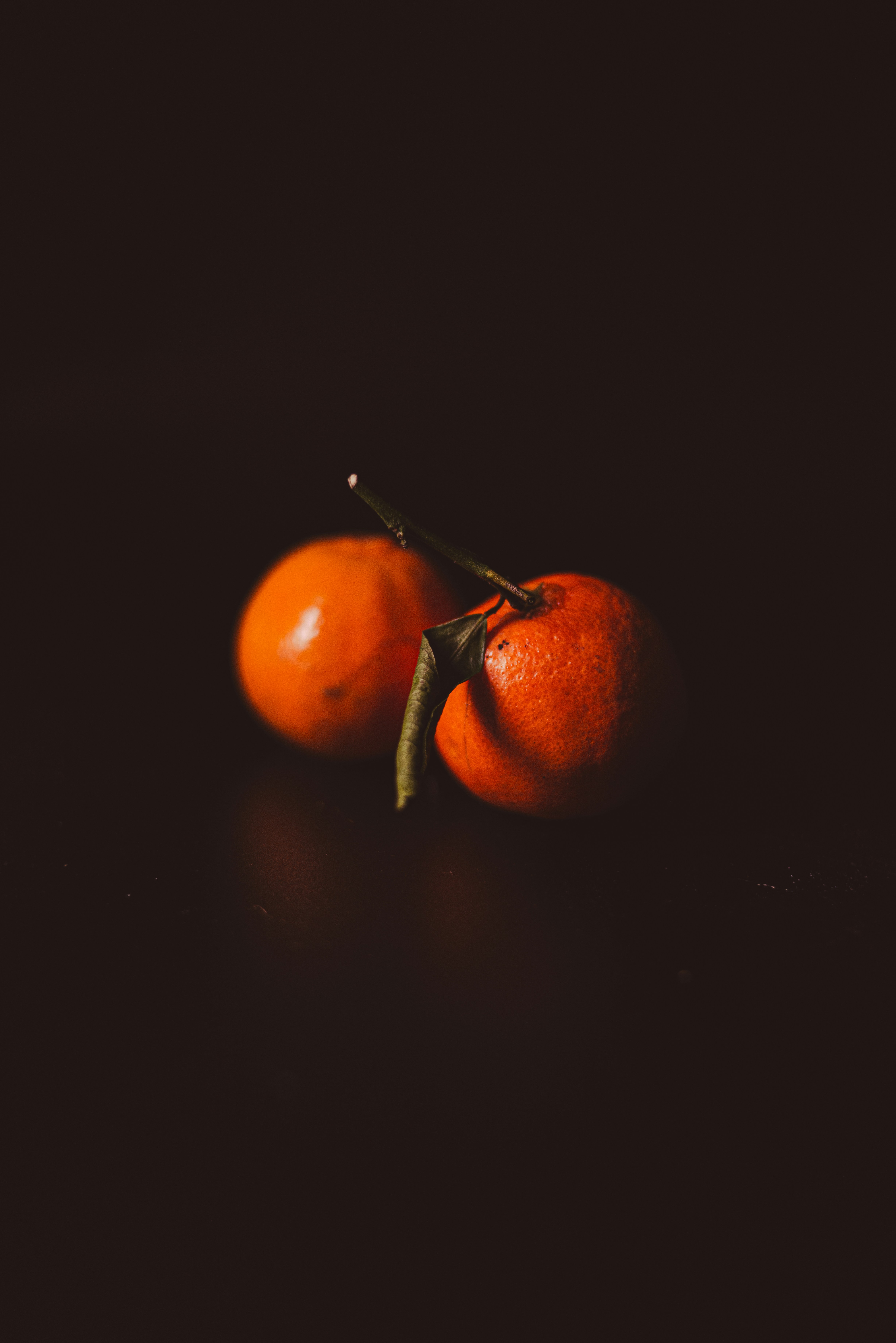 Citrus Duo: A Study in Contrast