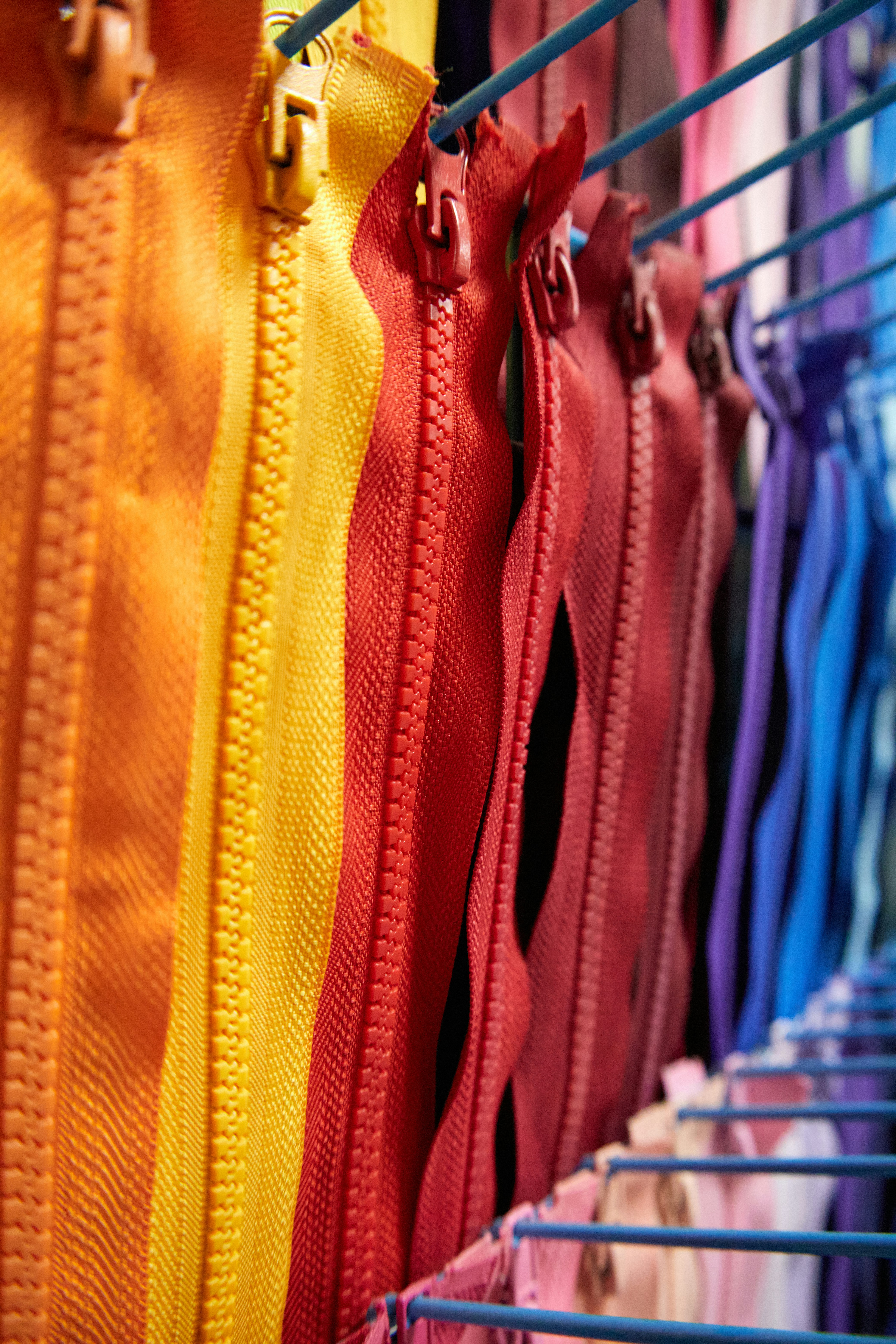 100+ Zip Pictures | Download Free Images on Unsplash