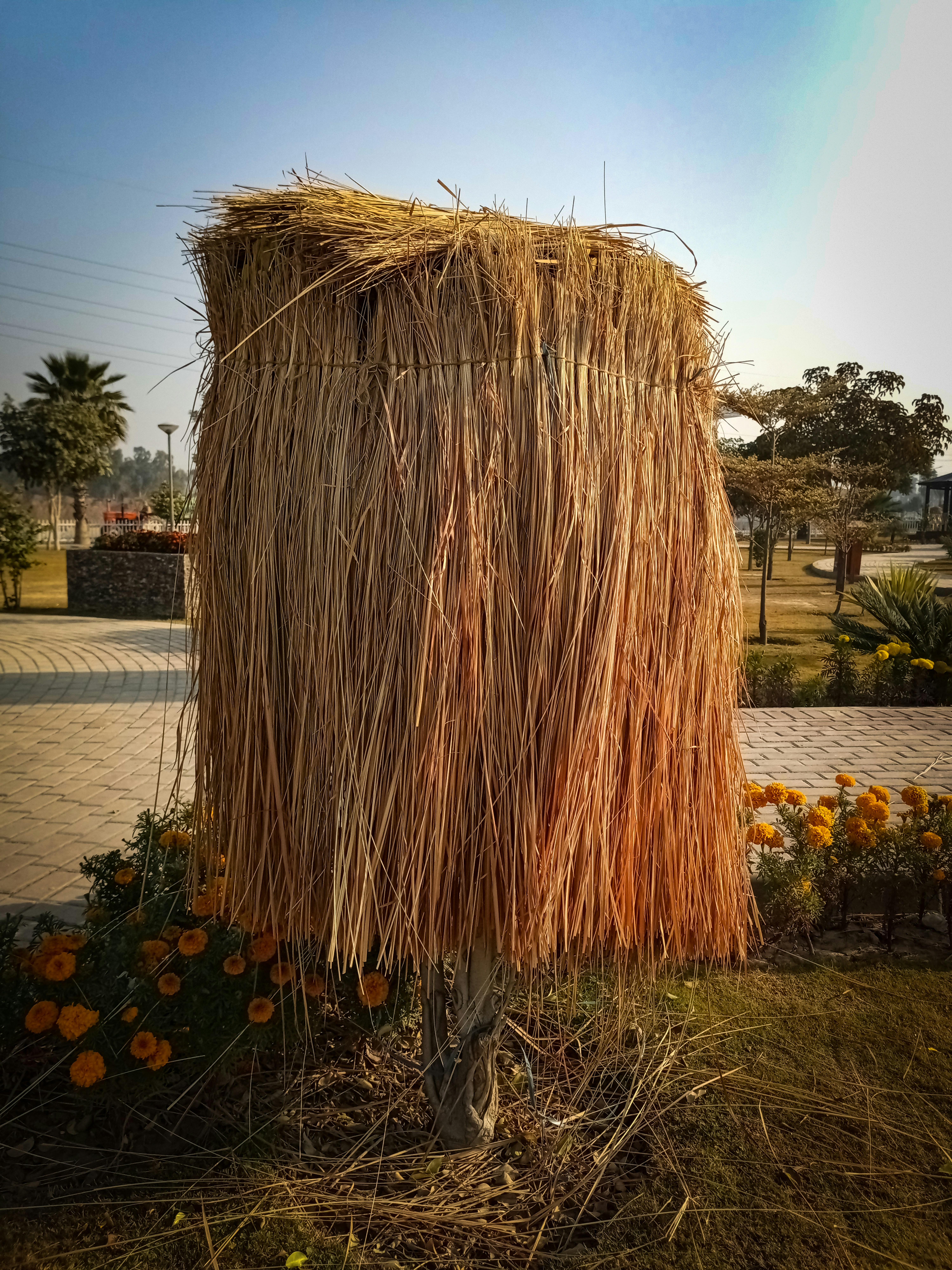 A thatched structure stands amidst a landscaped park, surrounded by vibrant marigolds and greenery. The contrast of natural materials against the manicured environment highlights cultural artistry.