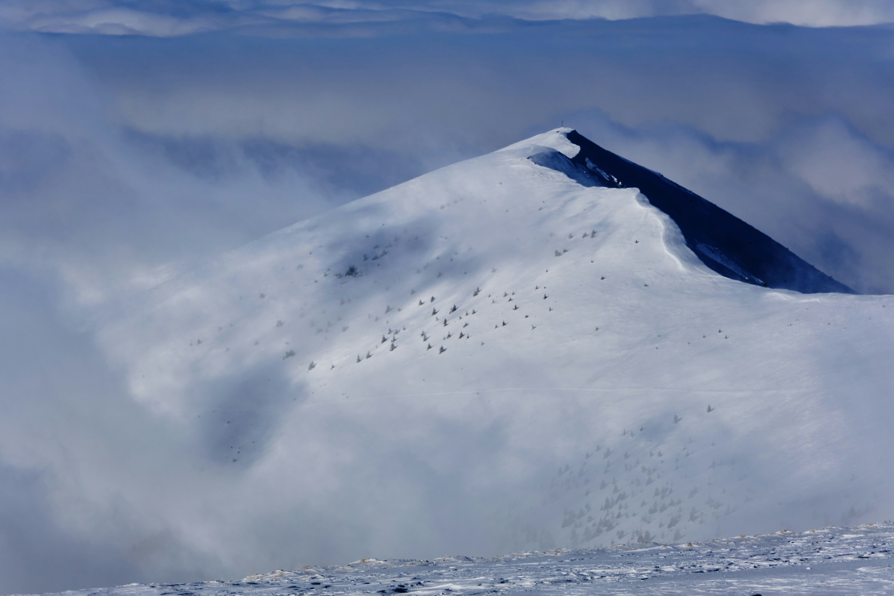 Cotiso Margulescu (@cotiso) | Unsplash Photo Community