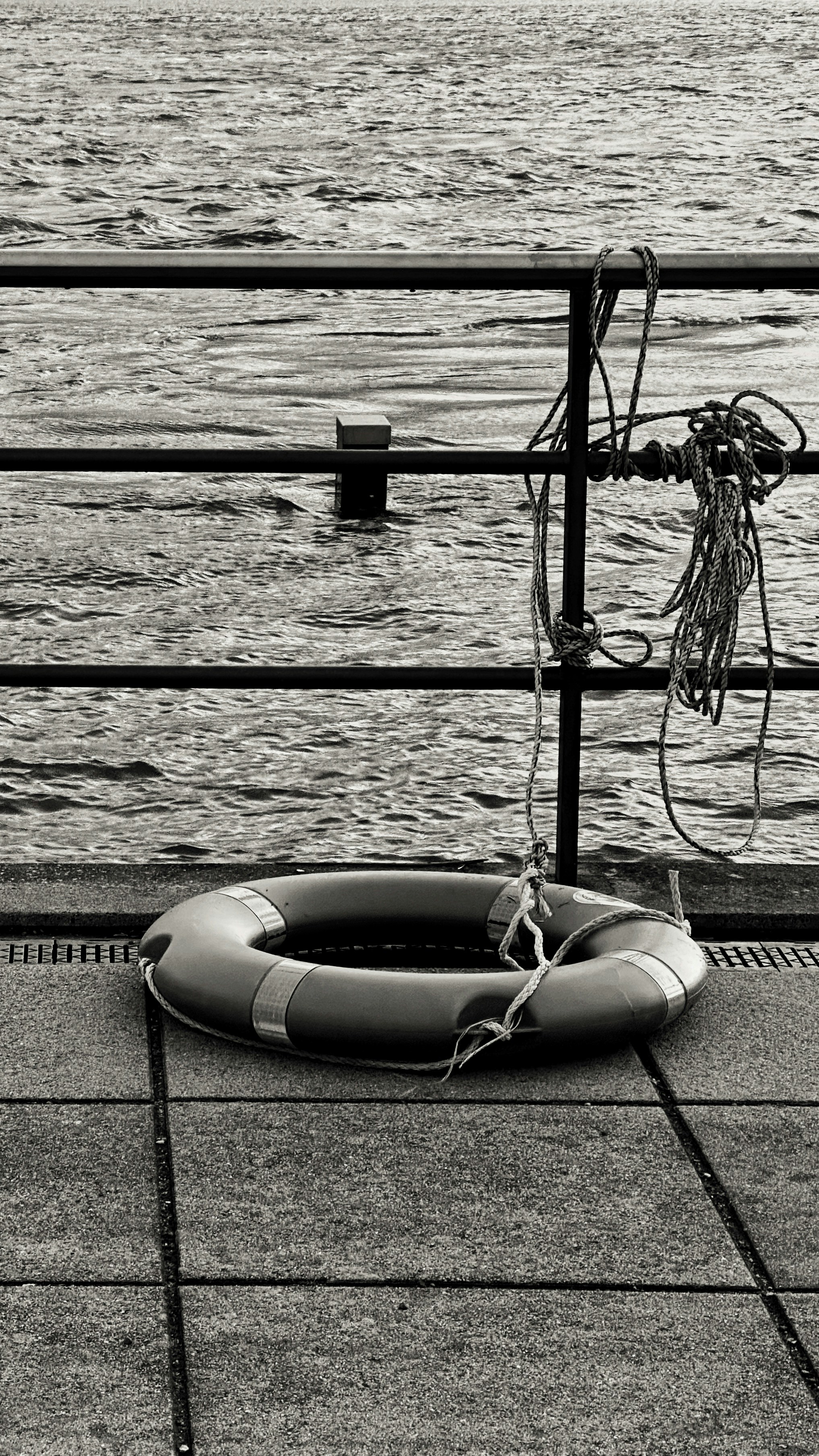 Monochrome Pier: Lifebuoy Tethered to Rail by the Water