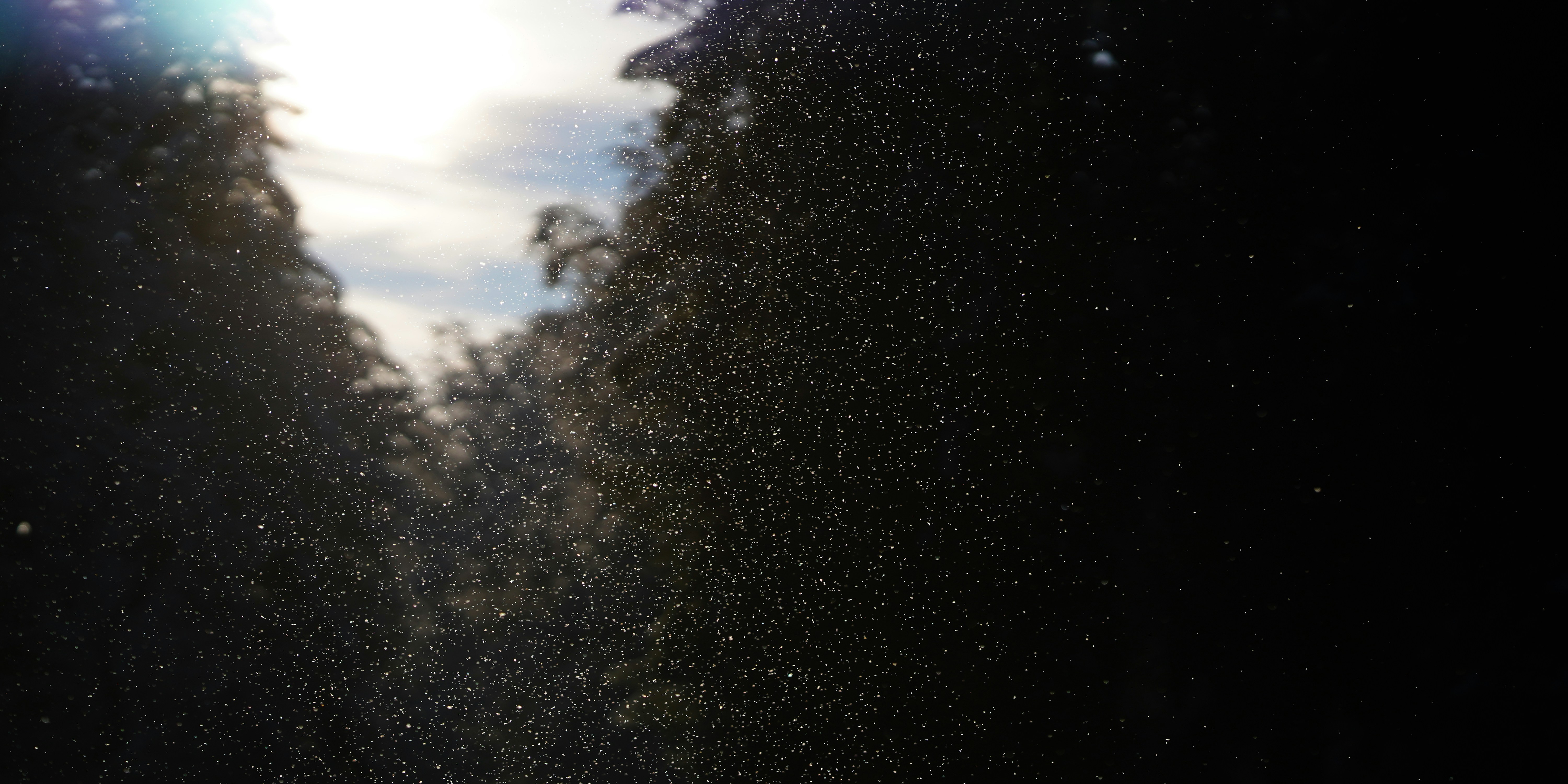 Photo by Jens Aber with Sony Alpha 7 III