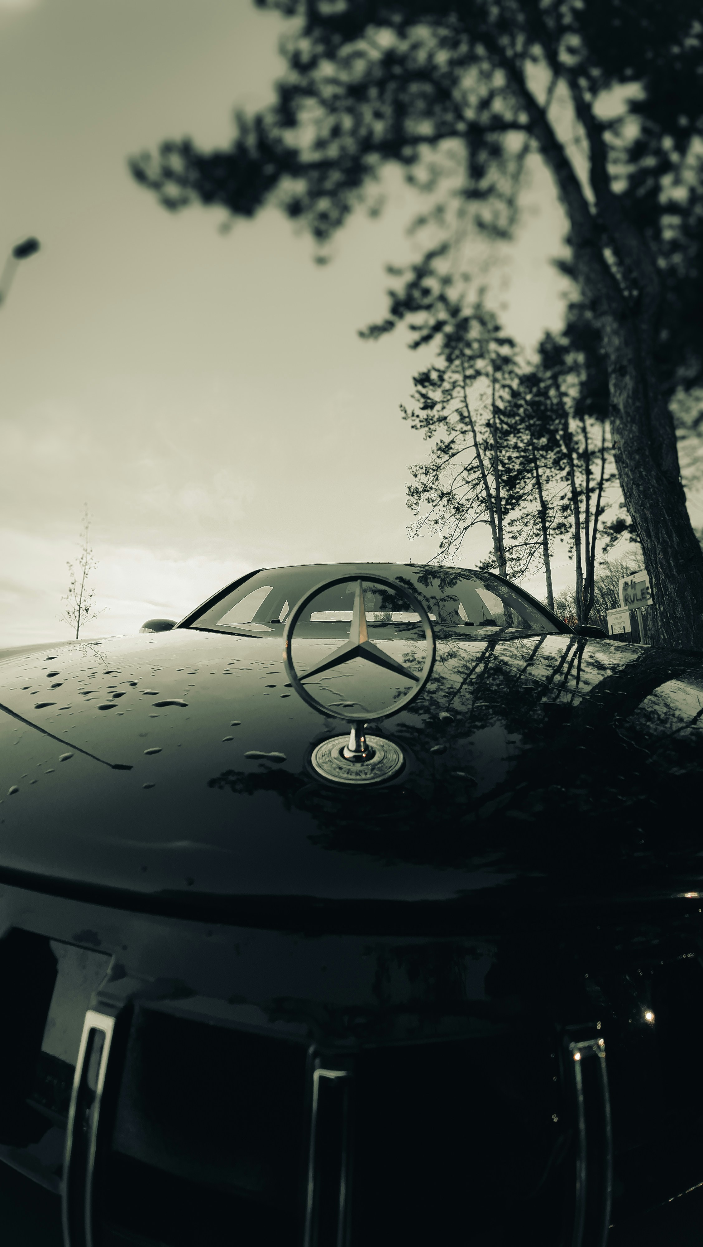 Sample photo from DJI Osmo Action 4