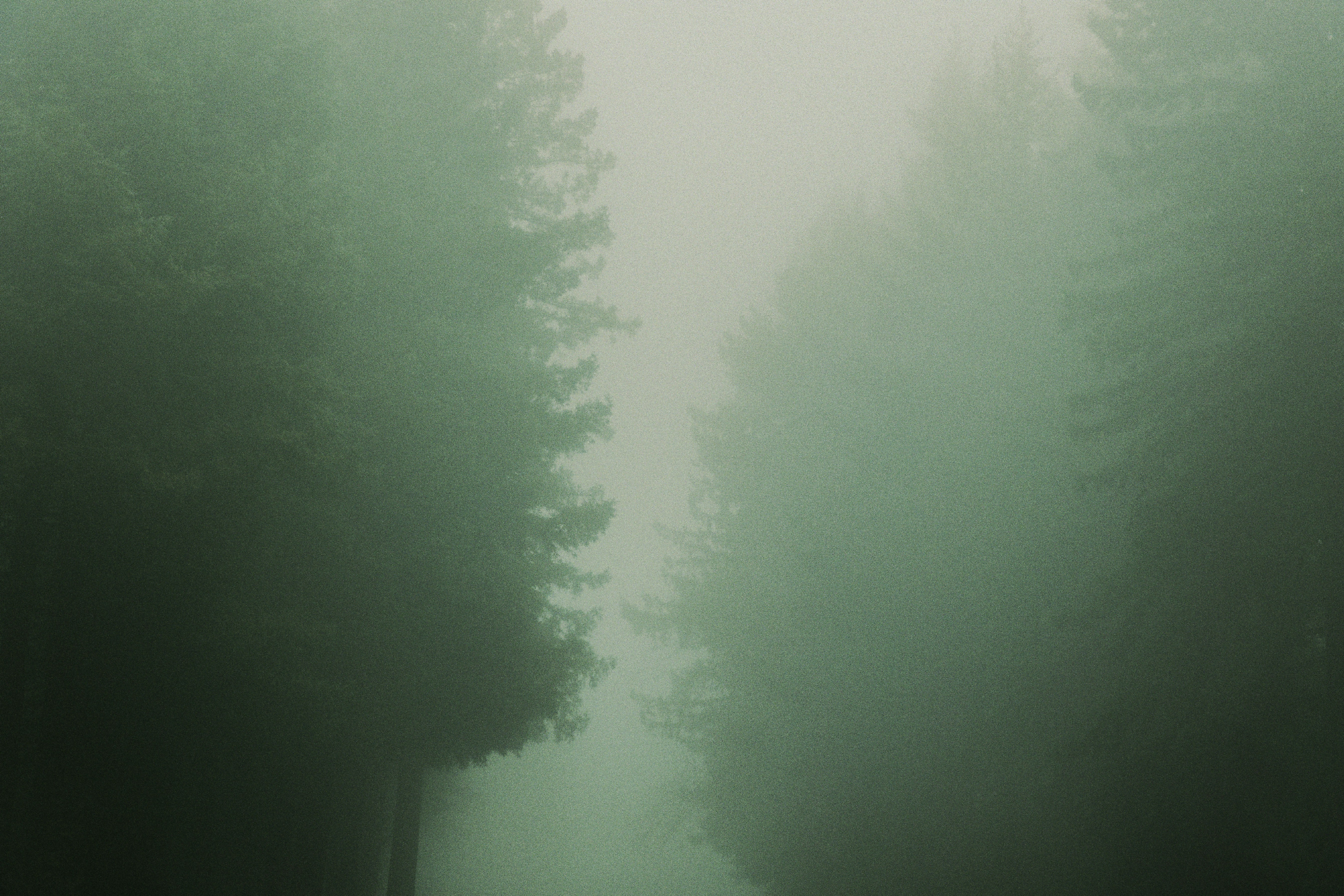 Photo by Jason Leung with Canon EOS R6