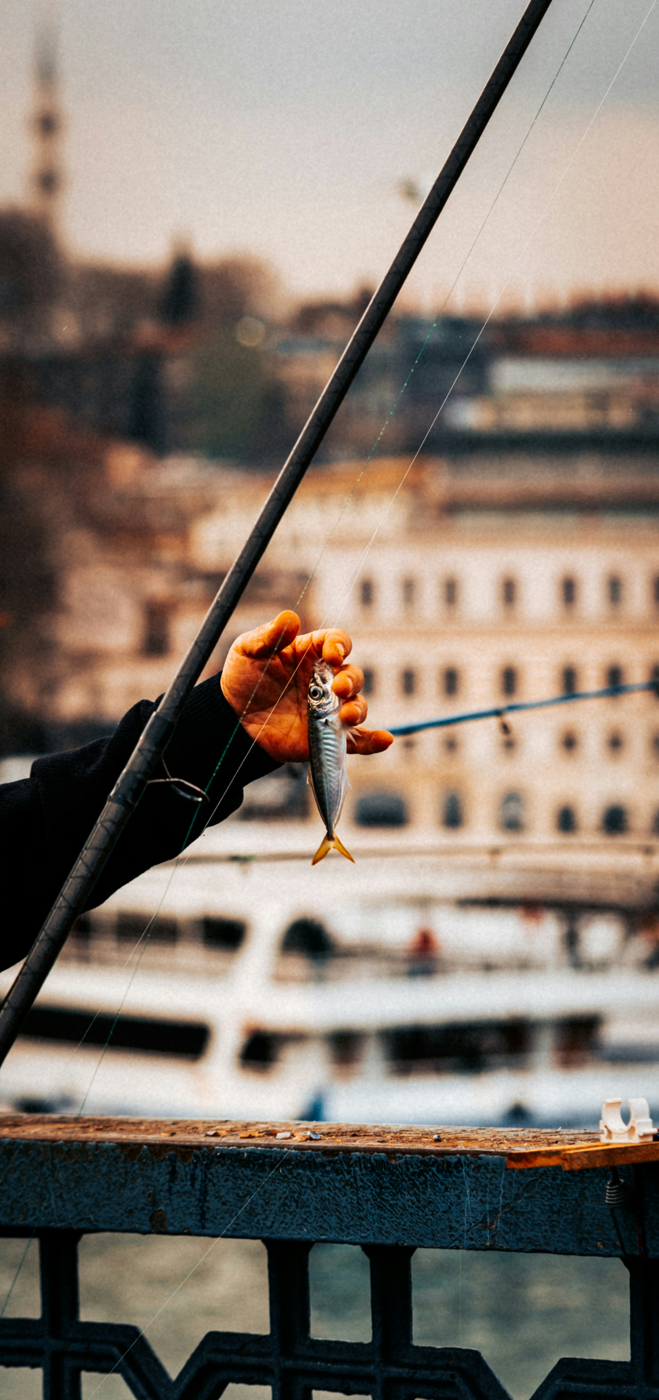 Handful of a Small Sailor: A Moment of Catch on an Urban Pier