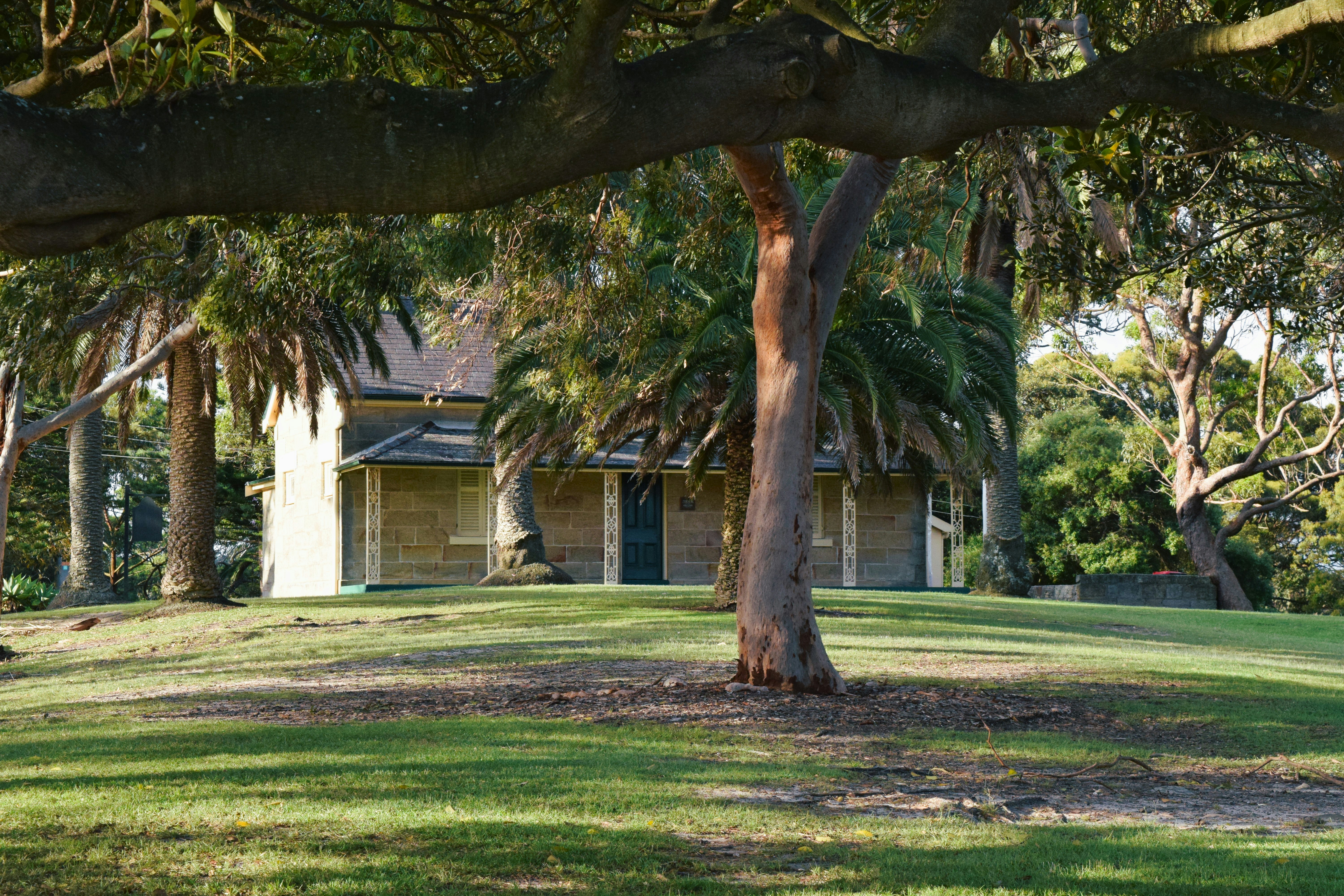 A house with a large tree in front of it photo – Free House Image on ...