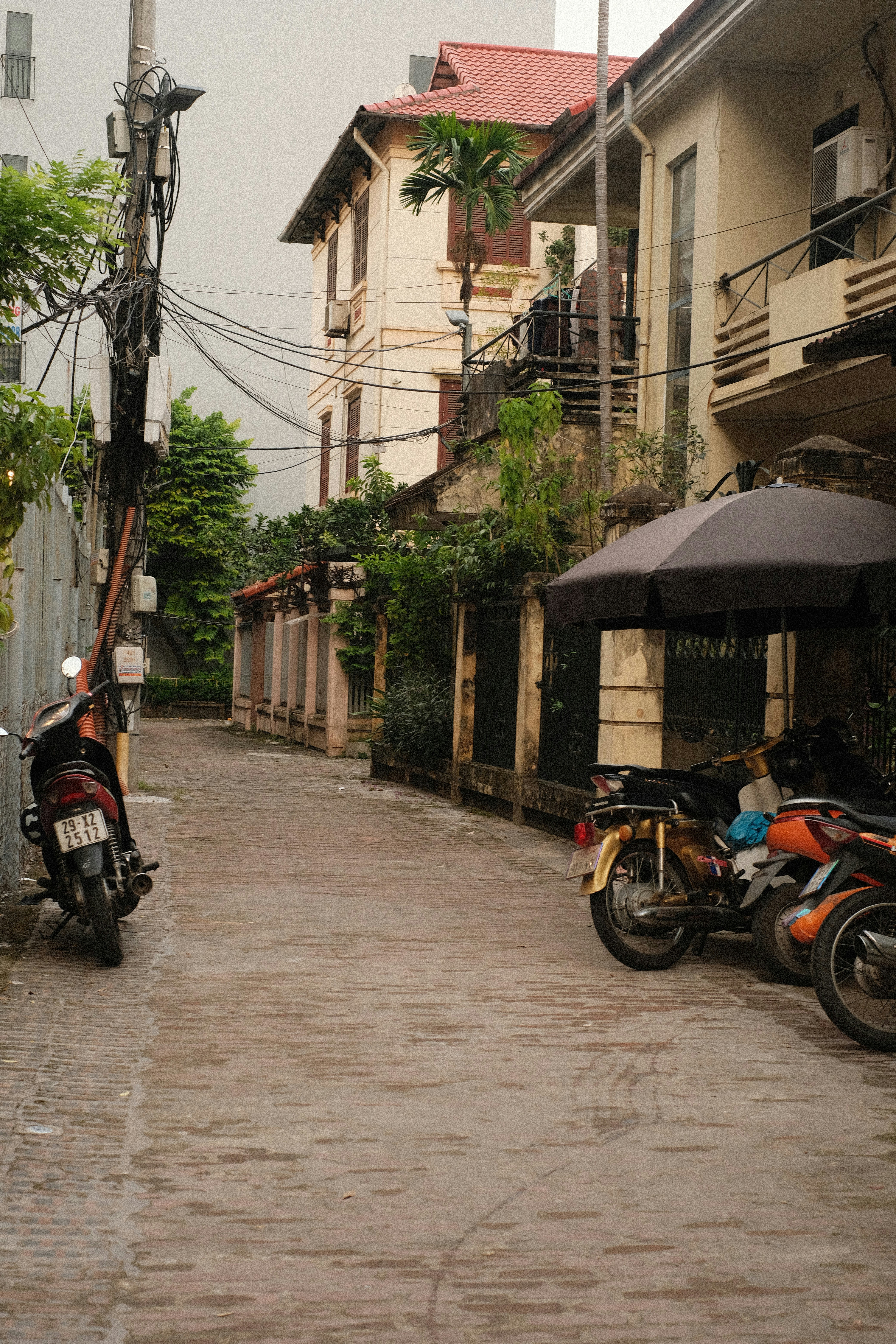 Palm-Topped Balcony Over a Rain-Washed Alleyway