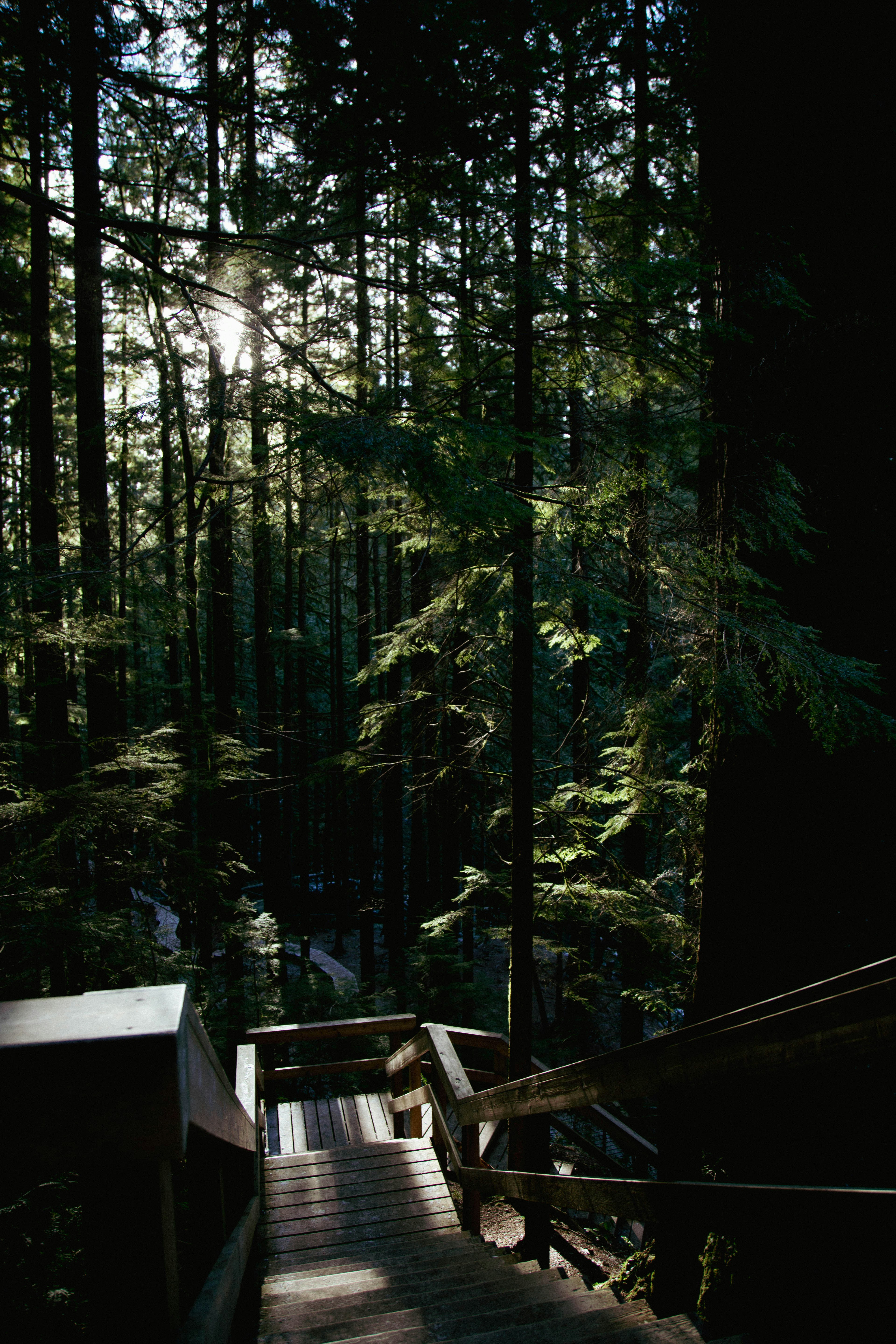 Photo by Asad Aftab with Canon EOS 5D Mark III