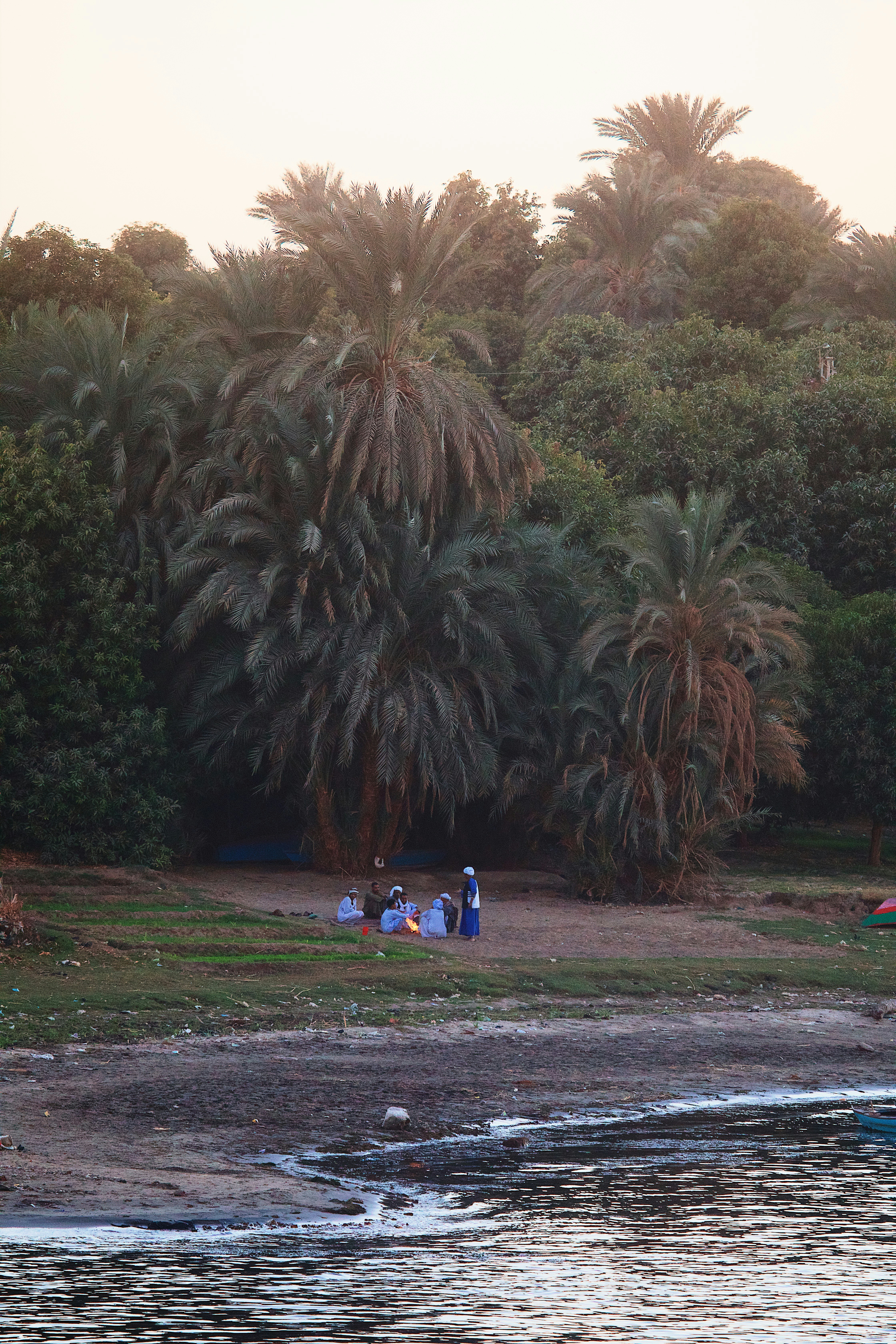 Palm-Shaded Riverside Gathering at Dusk