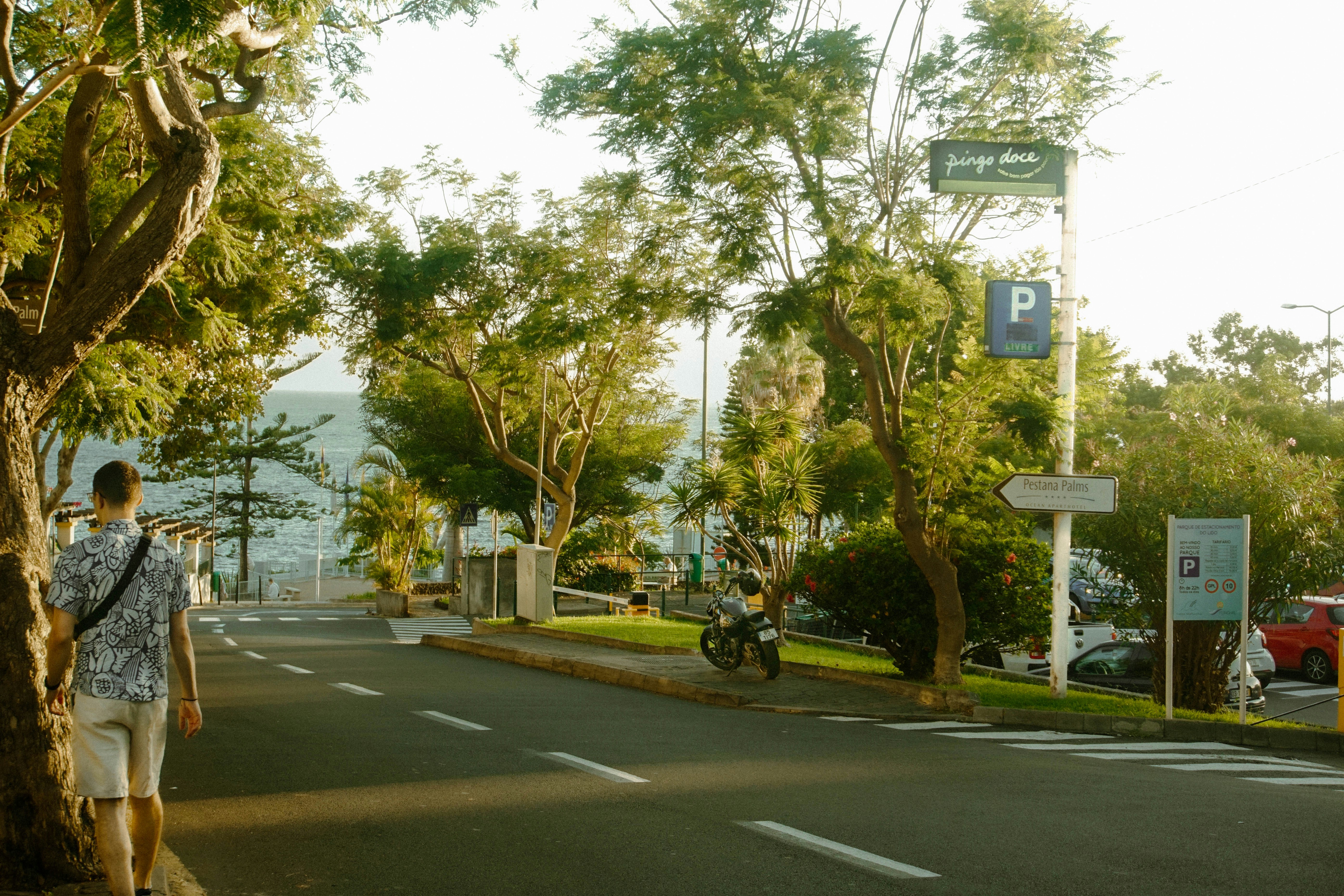A pedestrian walks along a tree-lined road, with glimpses of the coastline and parked vehicles in the background.
