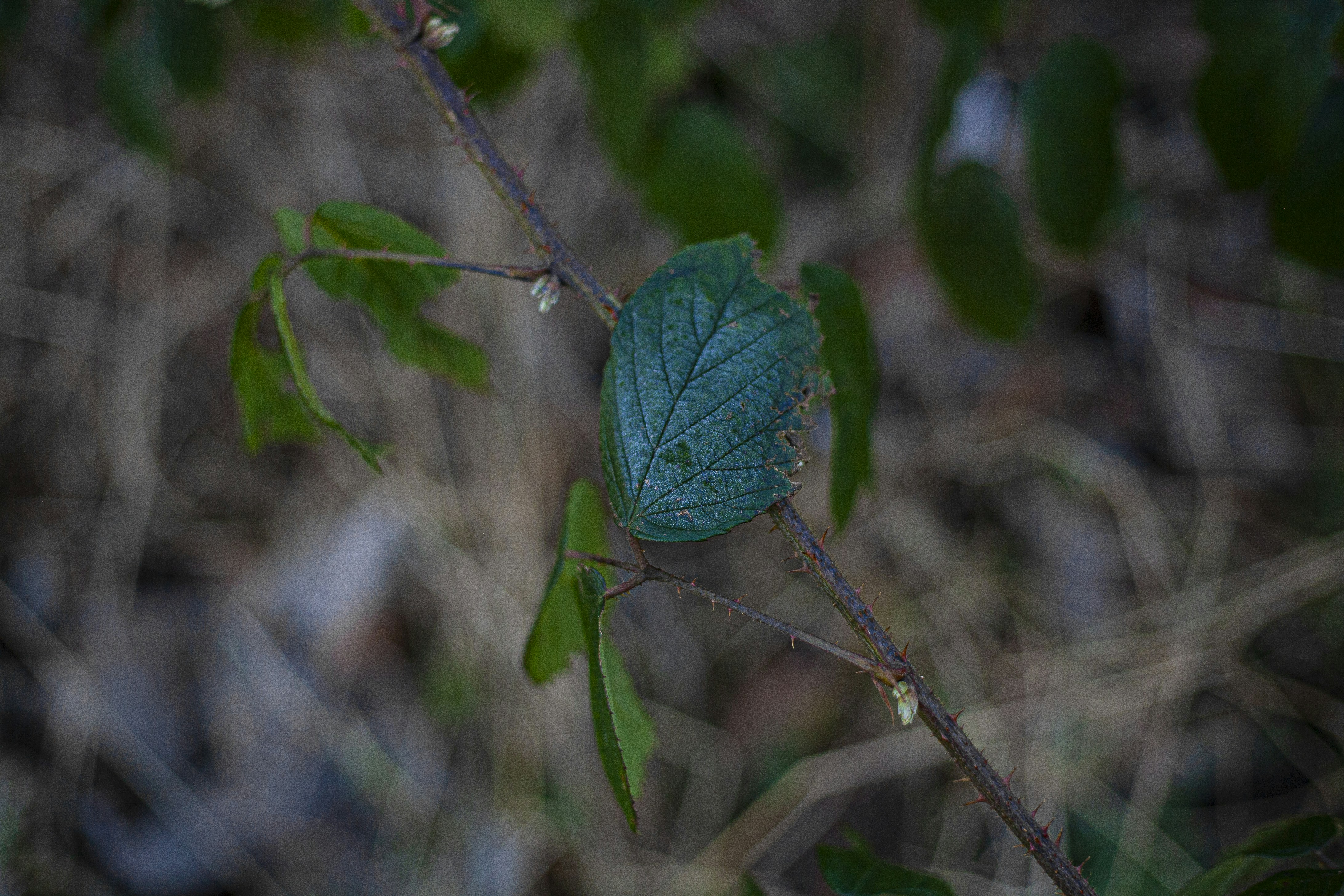 Photo by Jonathan Cosens Photography with CANON EOS 5D