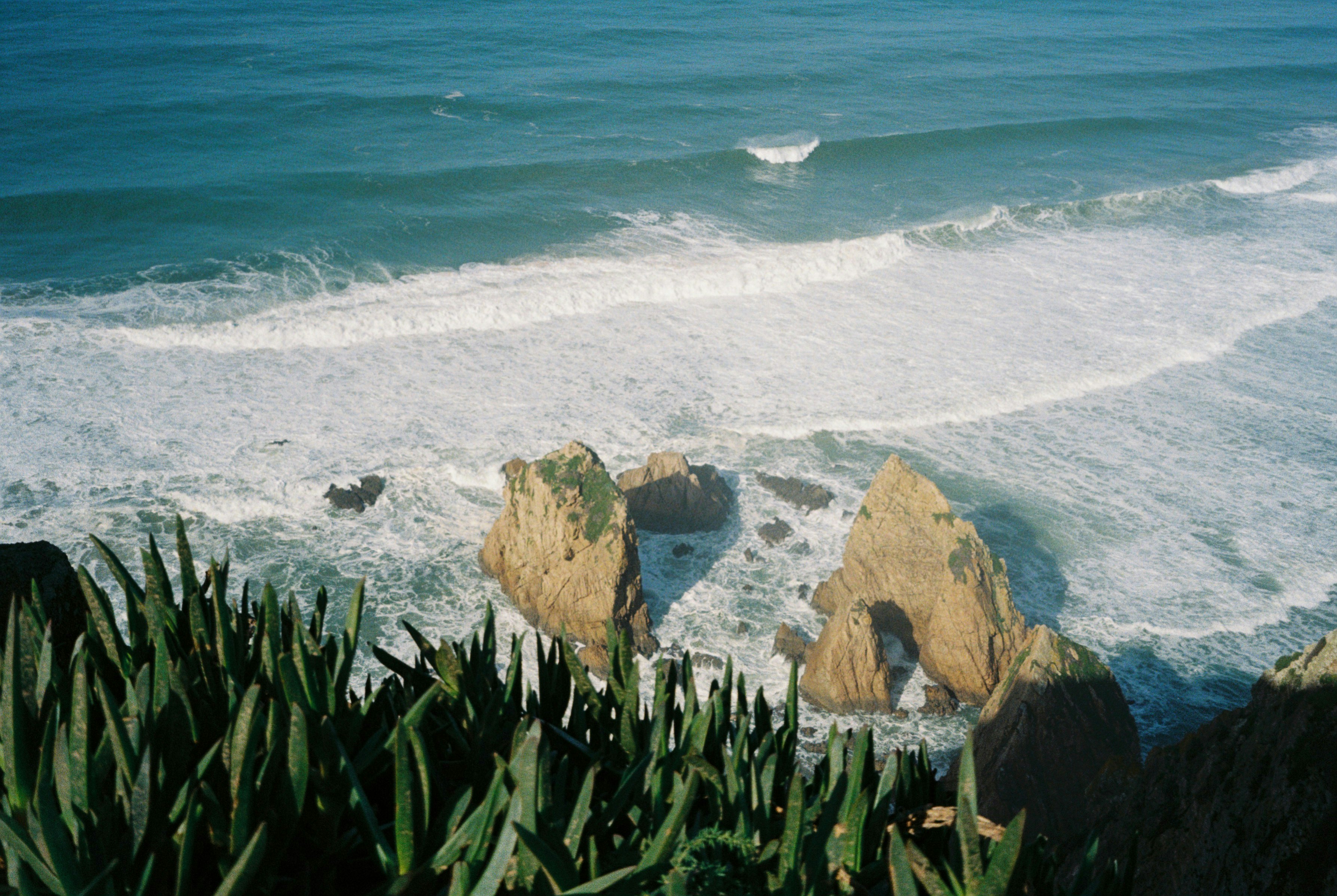 Sea Arch Emerges from the Green Frontier