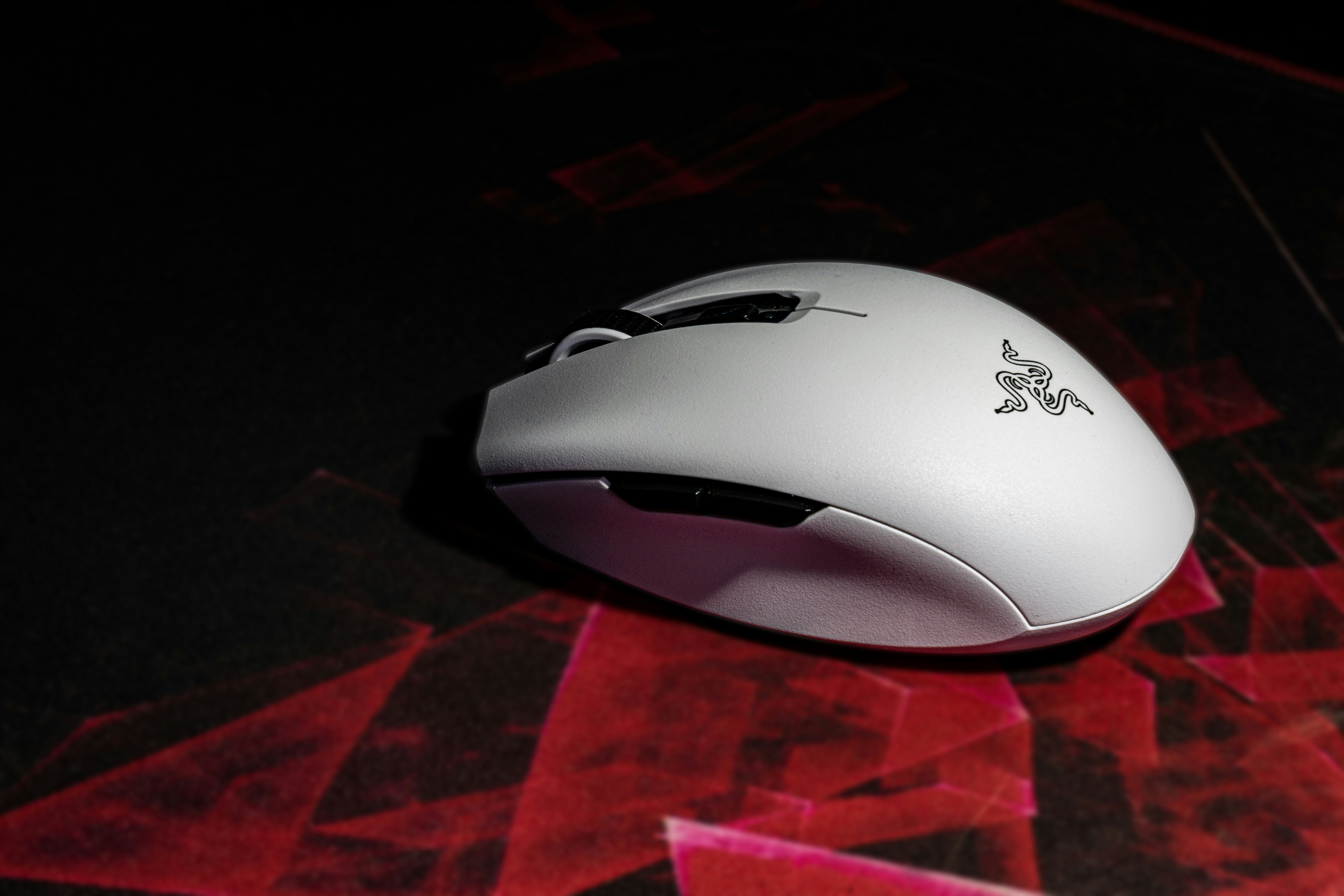 A close up of a computer mouse on a surface photo – Free Mouse Image on ...
