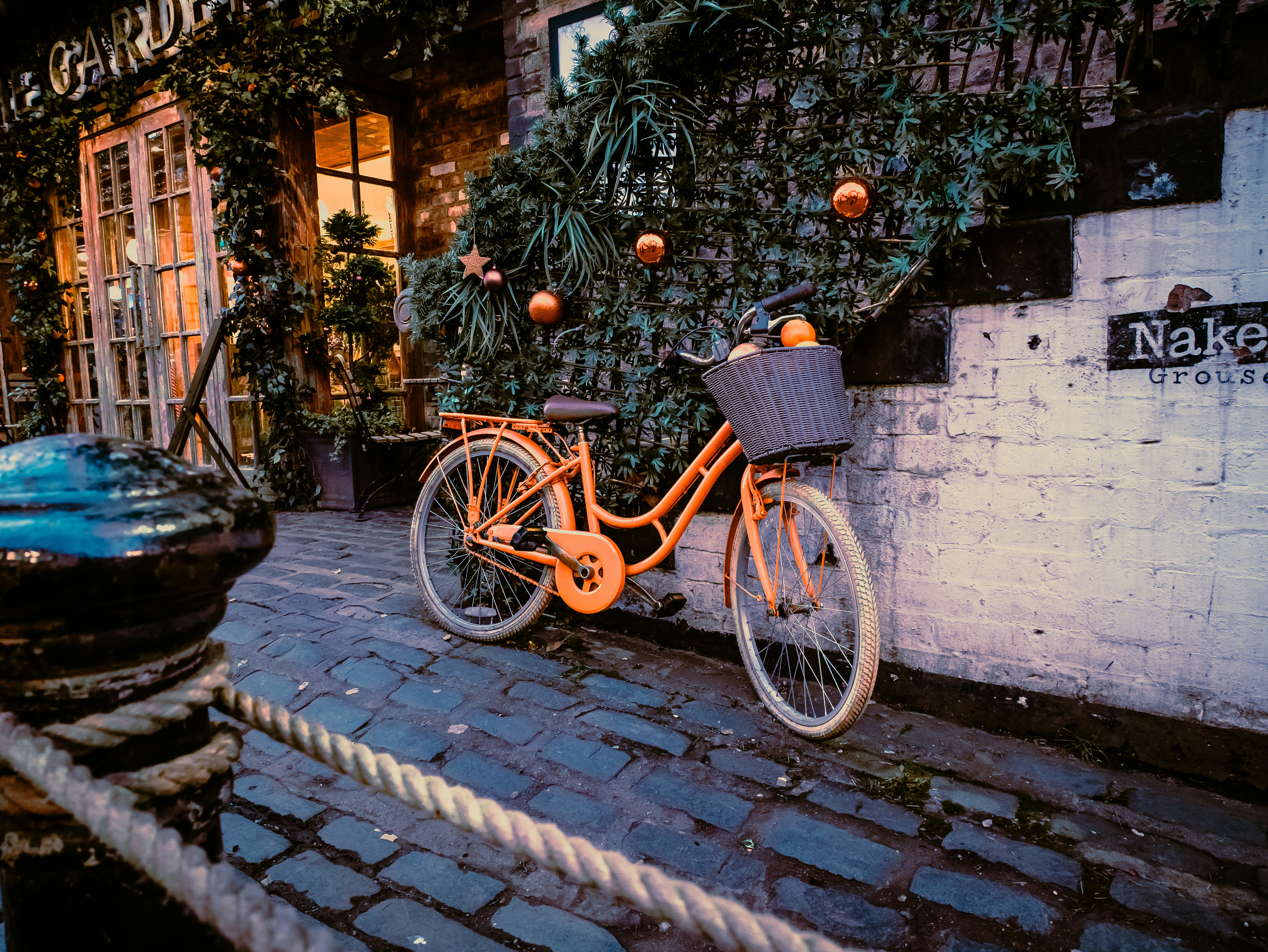 A warm-toned photograph of an orange bicycle with a basket parked beside an ivy-clad wall on a cobblestone street with string lights.