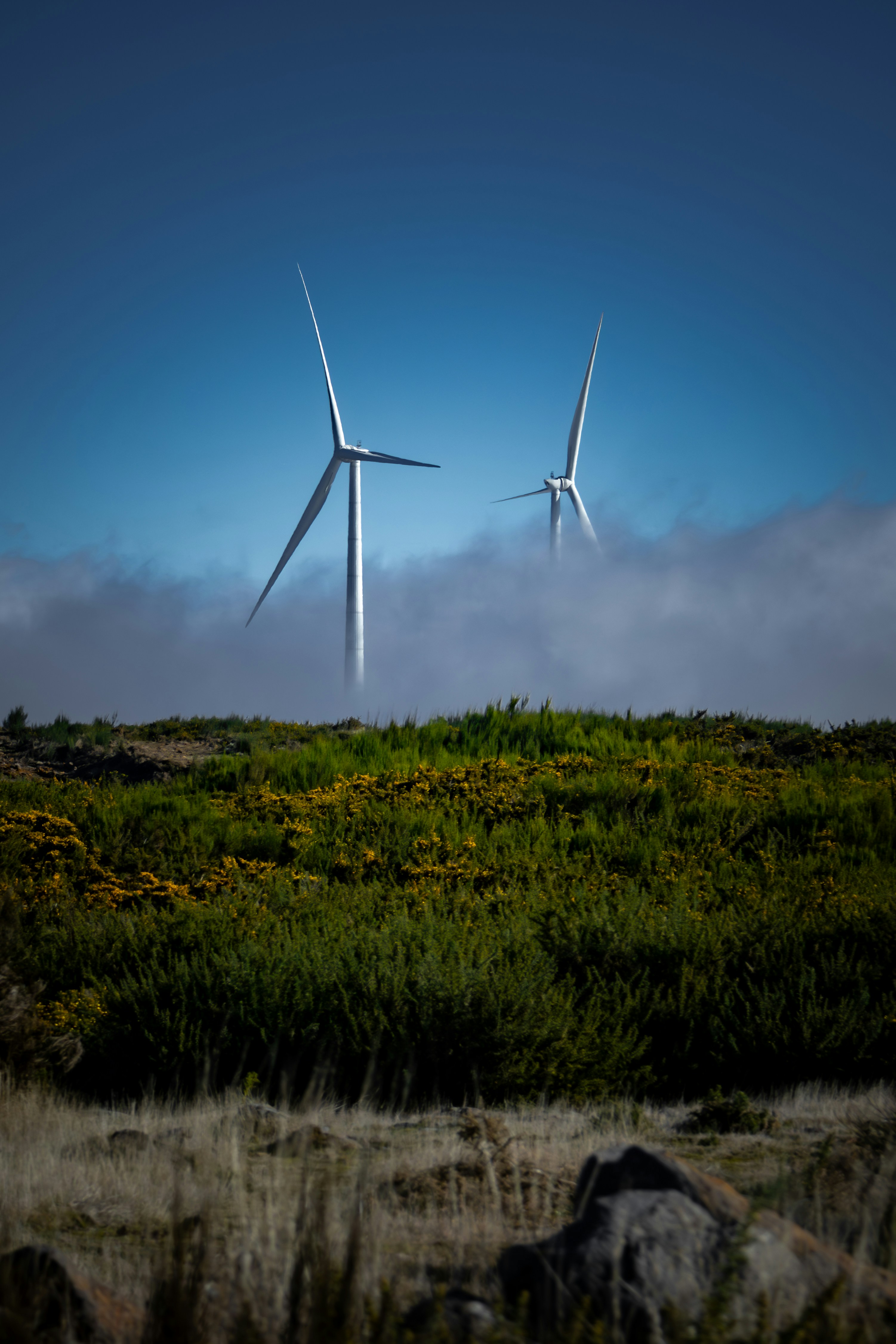 Twin Turbines Emerging Through Fog on a Moorland Crest