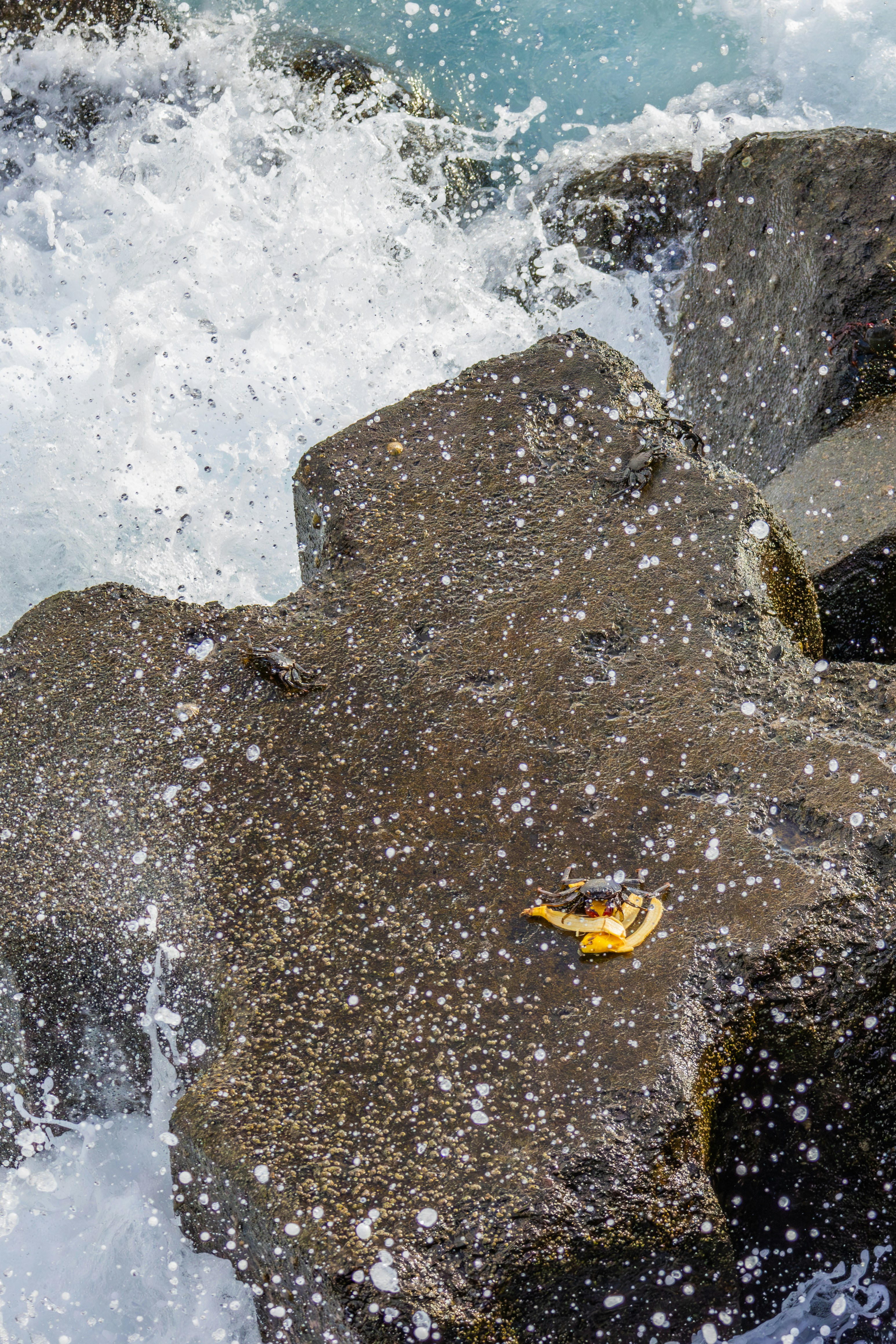 Lone Yellow Dot Anchored on Riven Rock Amid the Sea's White Fury