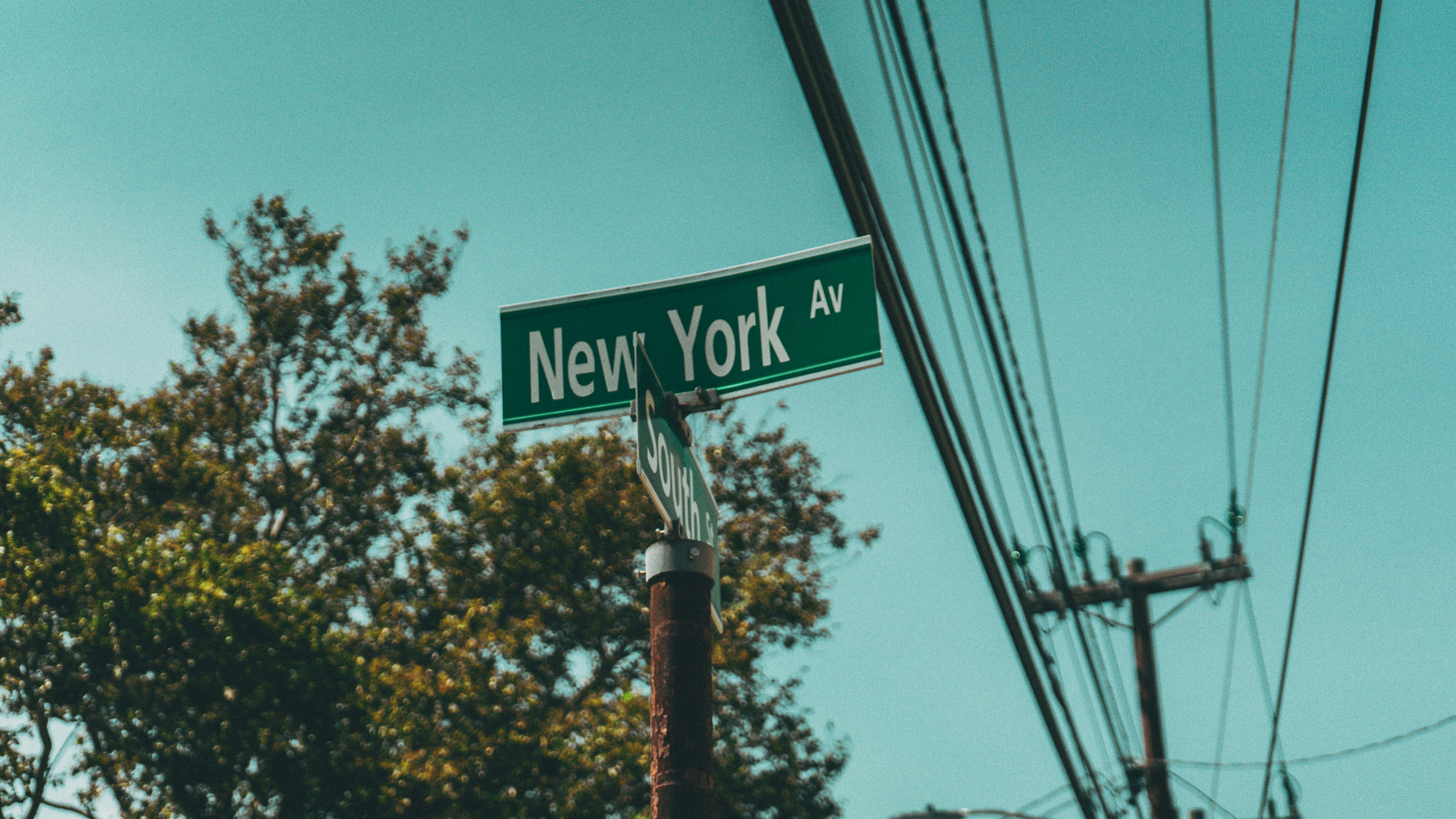 A close up of a street sign on a pole photo – Free New york avenue ...