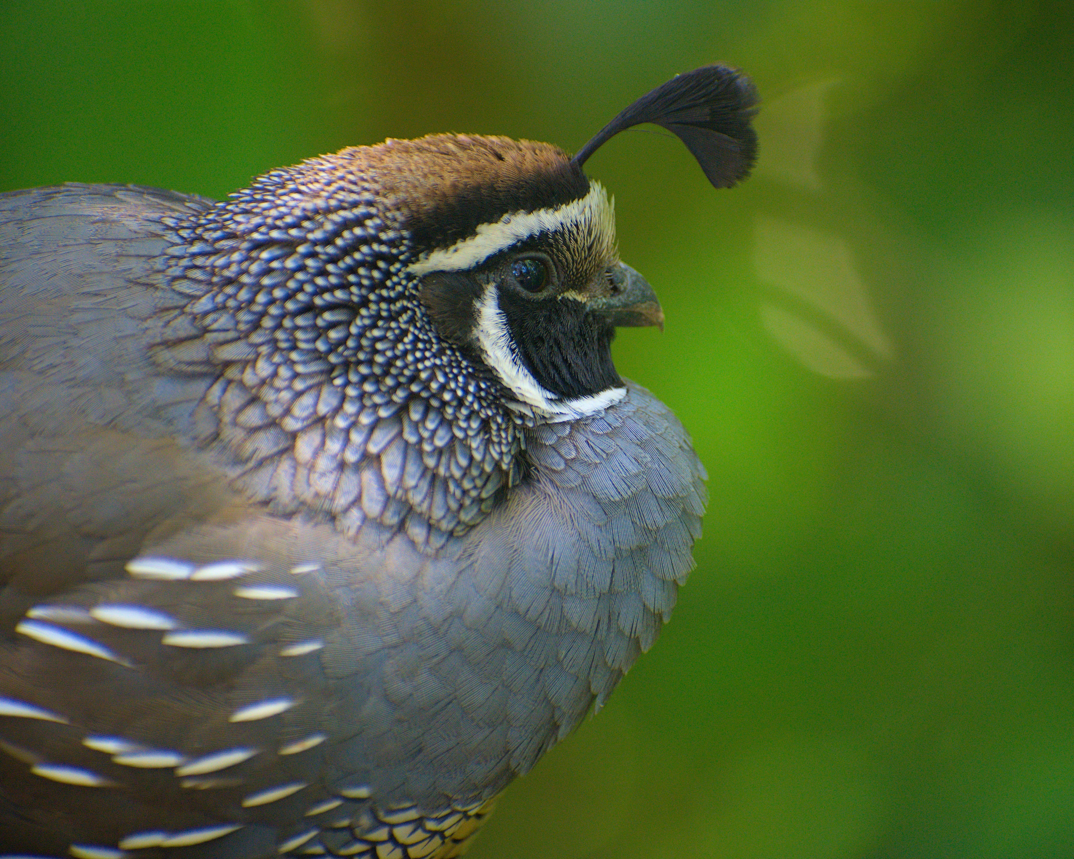 Photo by inti albuquerque with Nikon D850