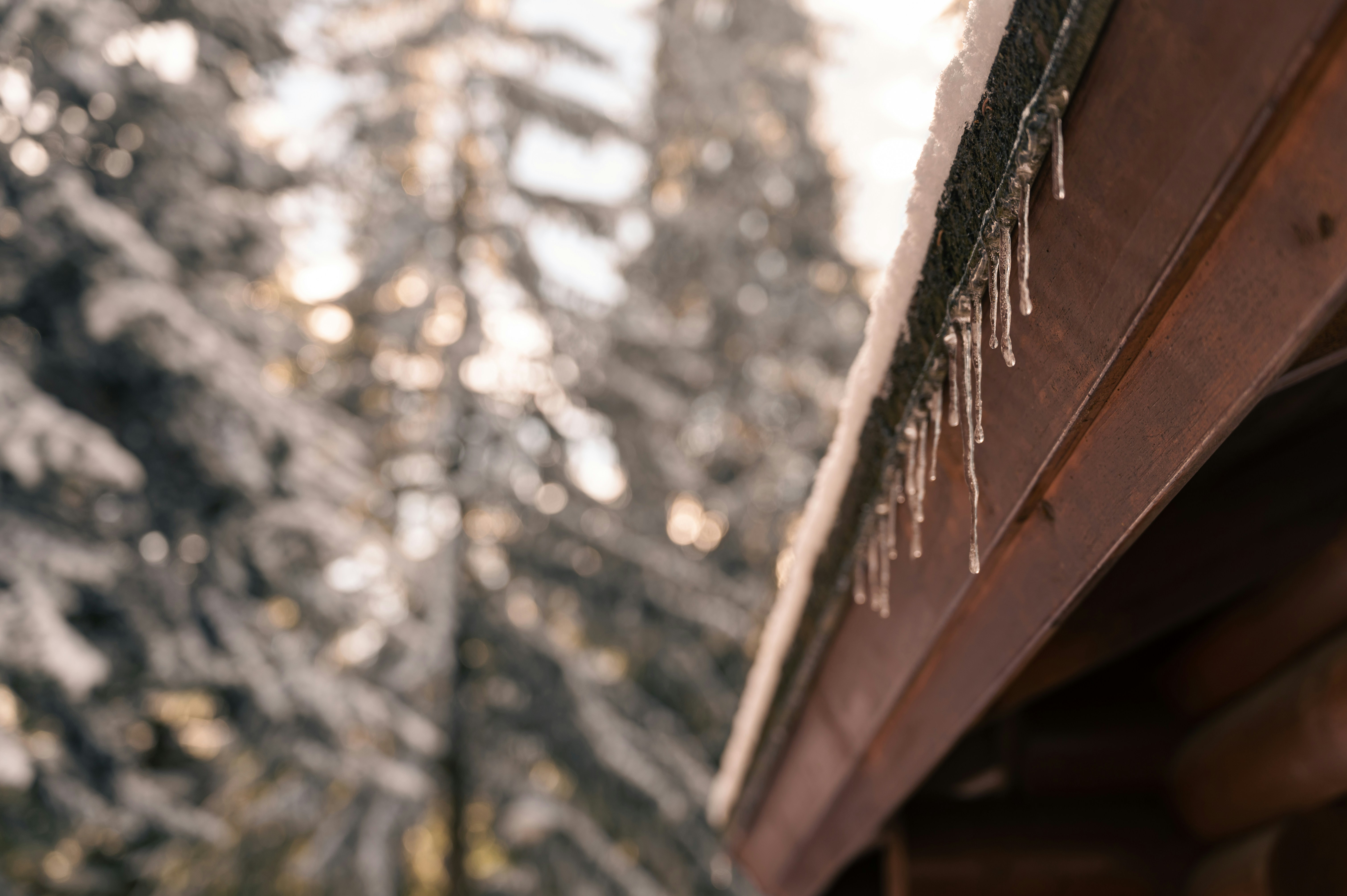 Icicle Edge Above a Wooden Roof in Soft Winter Light