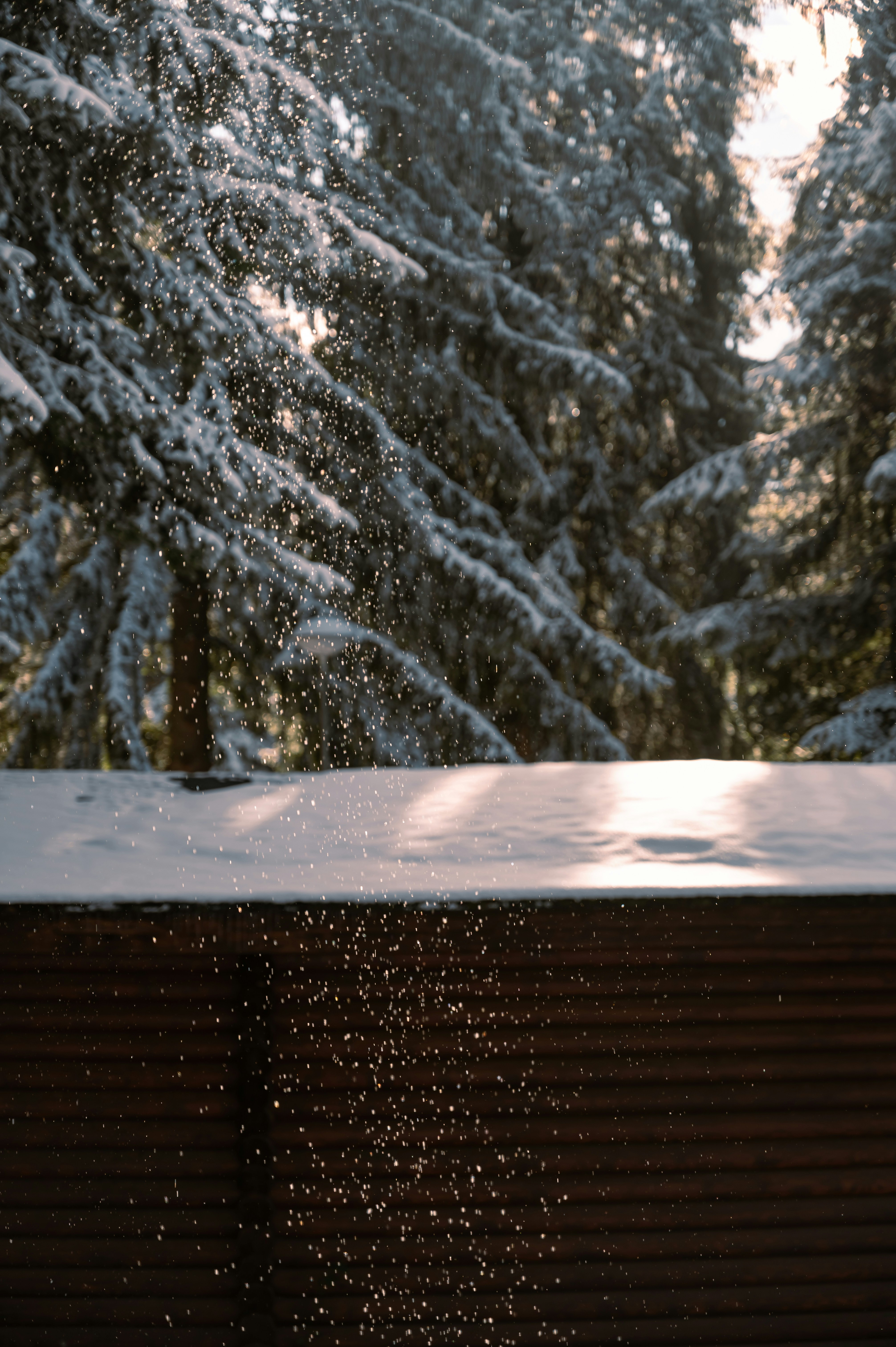 Snow is falling from the top of a building photo – Free Borovets Image ...