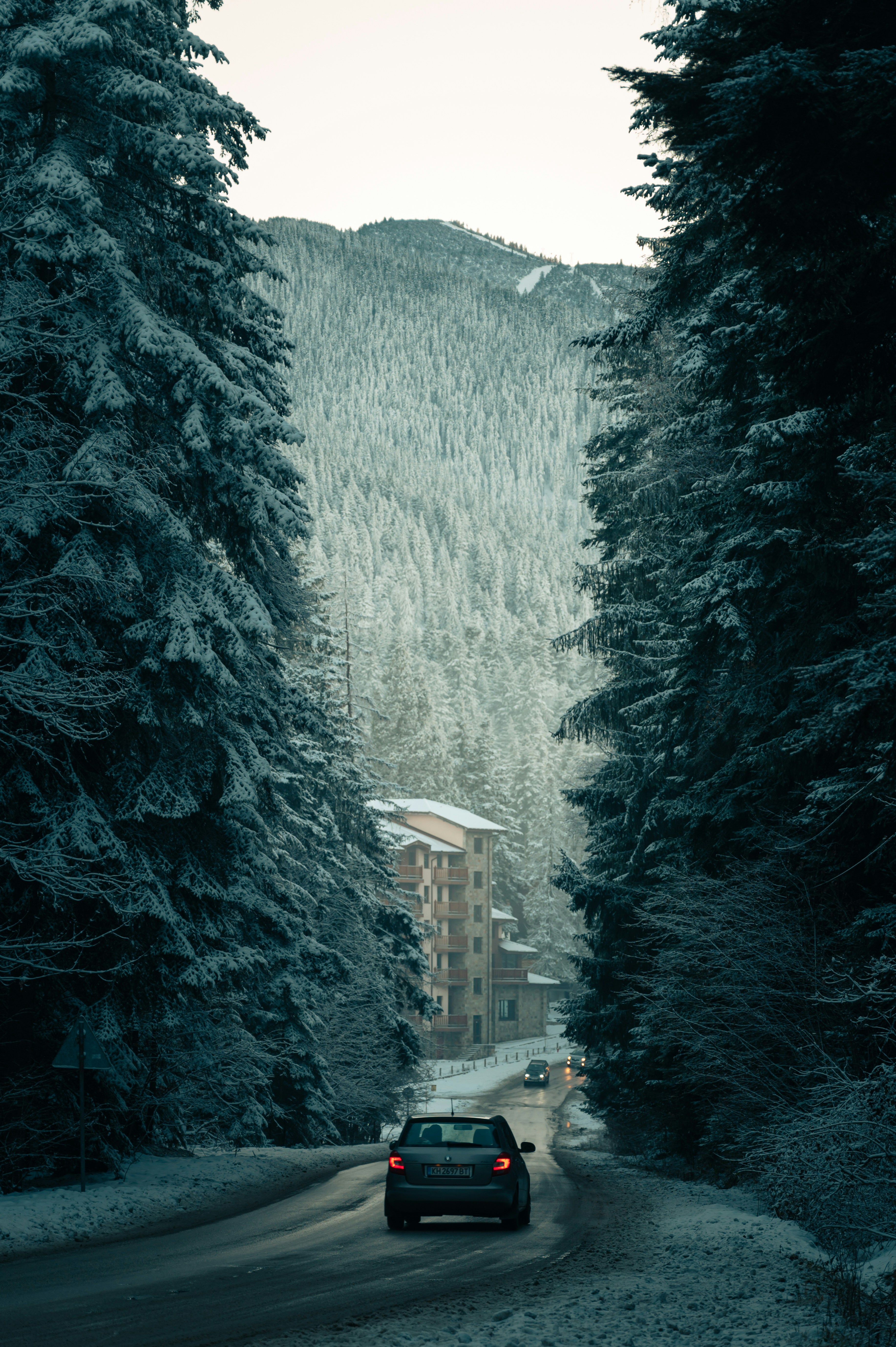 Snowbound Alpine Drive: A Car Wends Between Towering Pines Toward a Mountain Chalet