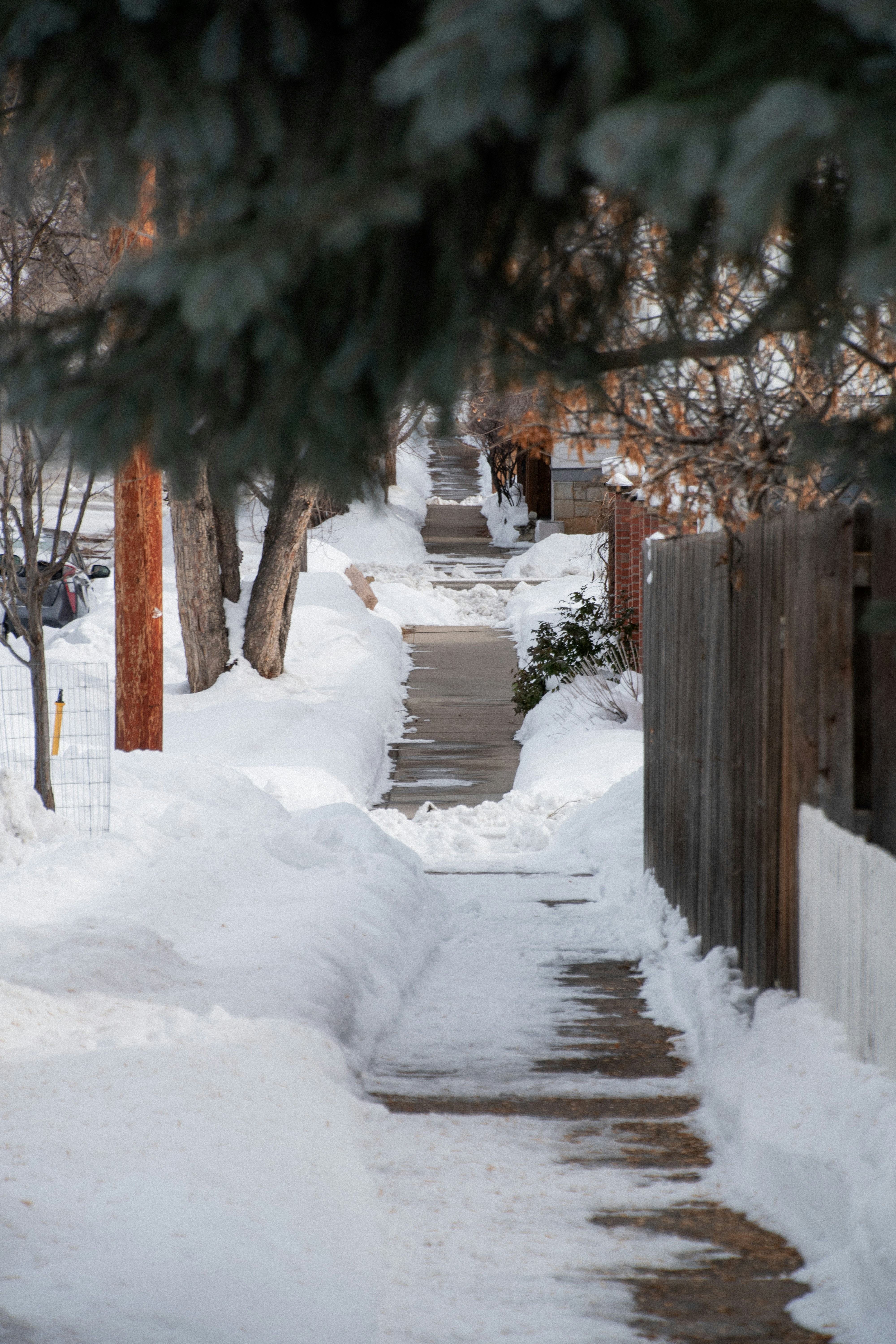 A sidewalk covered in snow next to a forest photo – Free Street Image ...