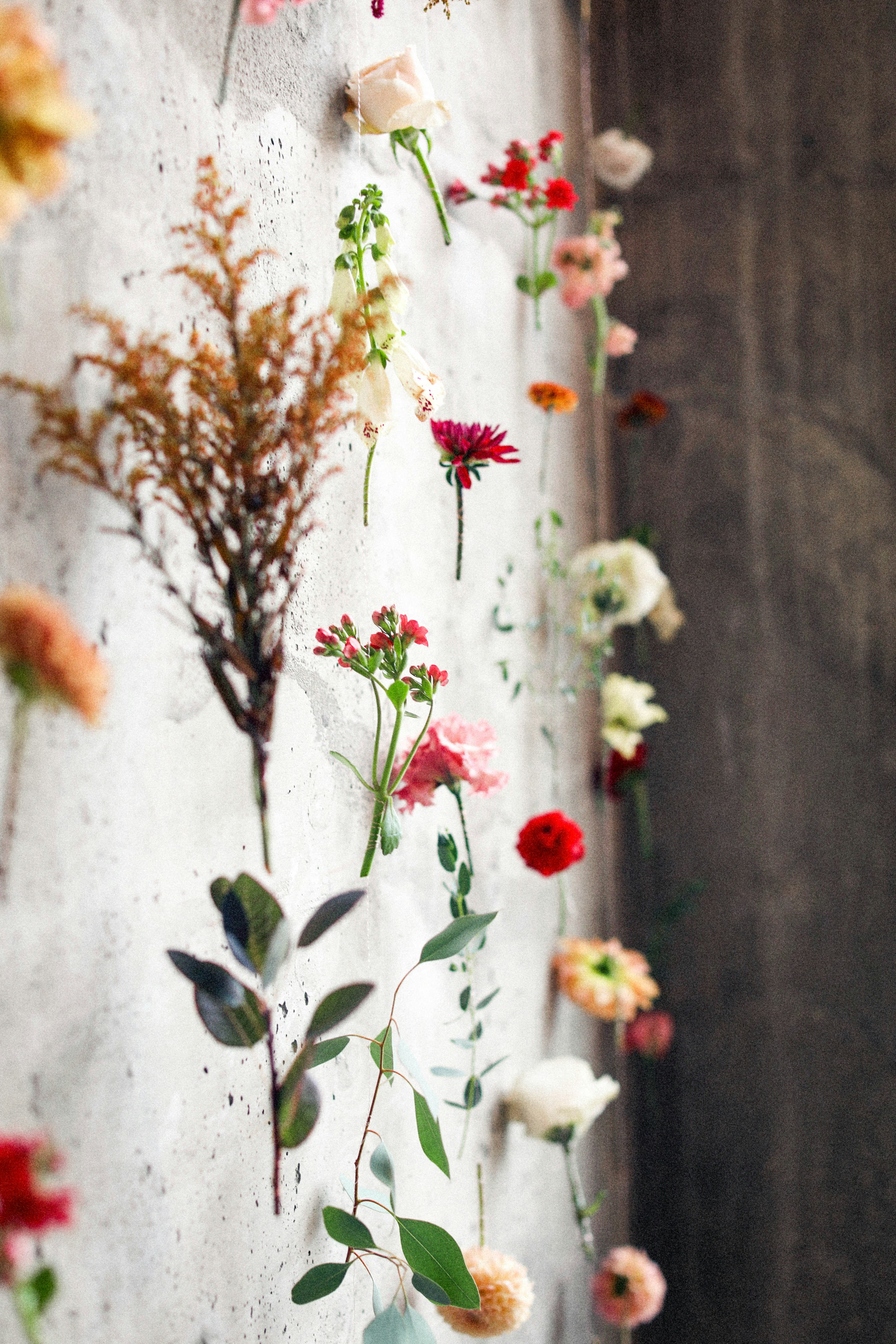 a bunch of flowers are hanging on a wallJennifer Kalenberg