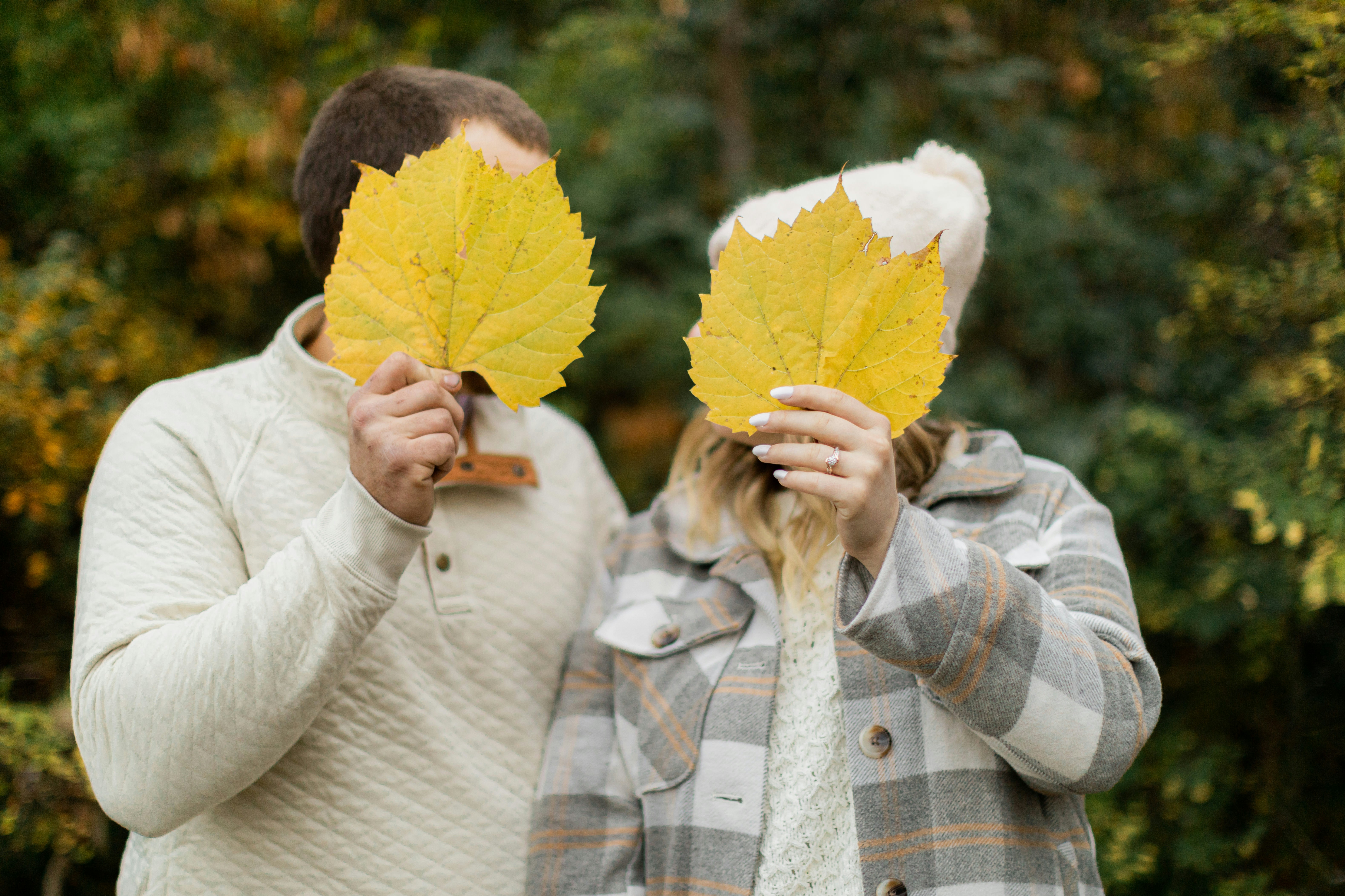 Autumn Veil: A Pair Masked Behind Golden Leaves