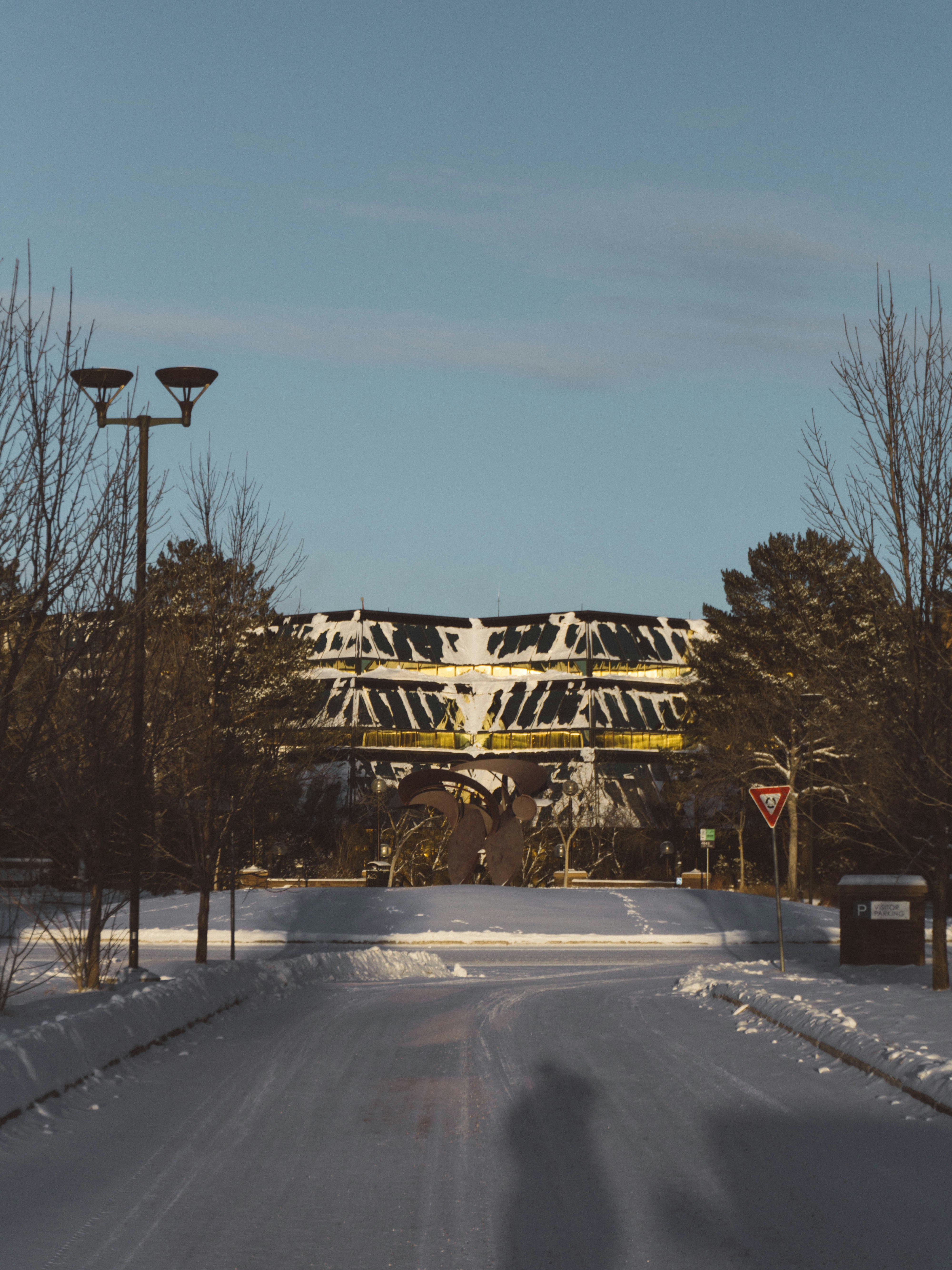 Photo by Sophia Malott with Sony Alpha 6000