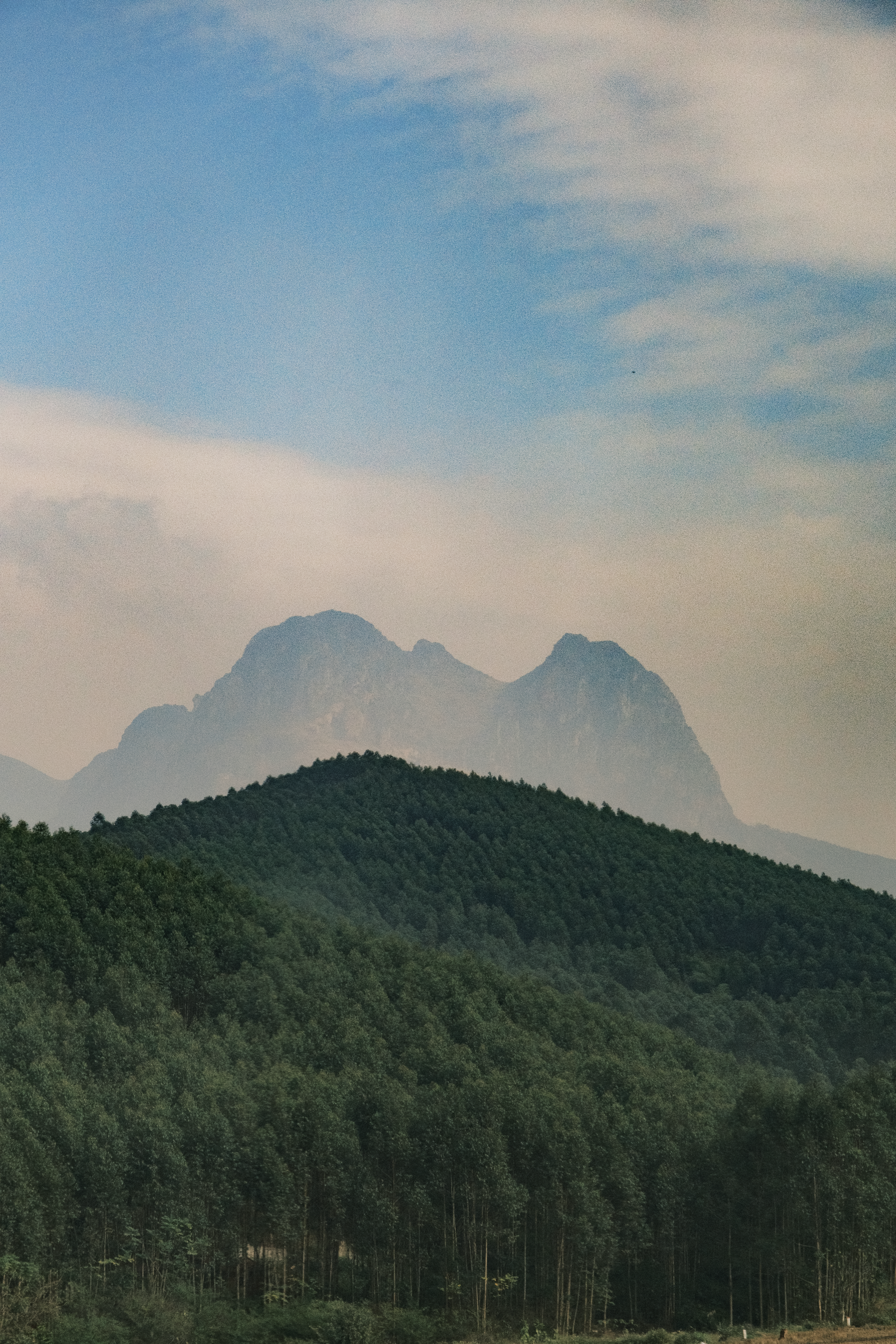 Majestic mountains loom over a dense forest, shrouded in a soft haze that hints at mystery and tranquility.